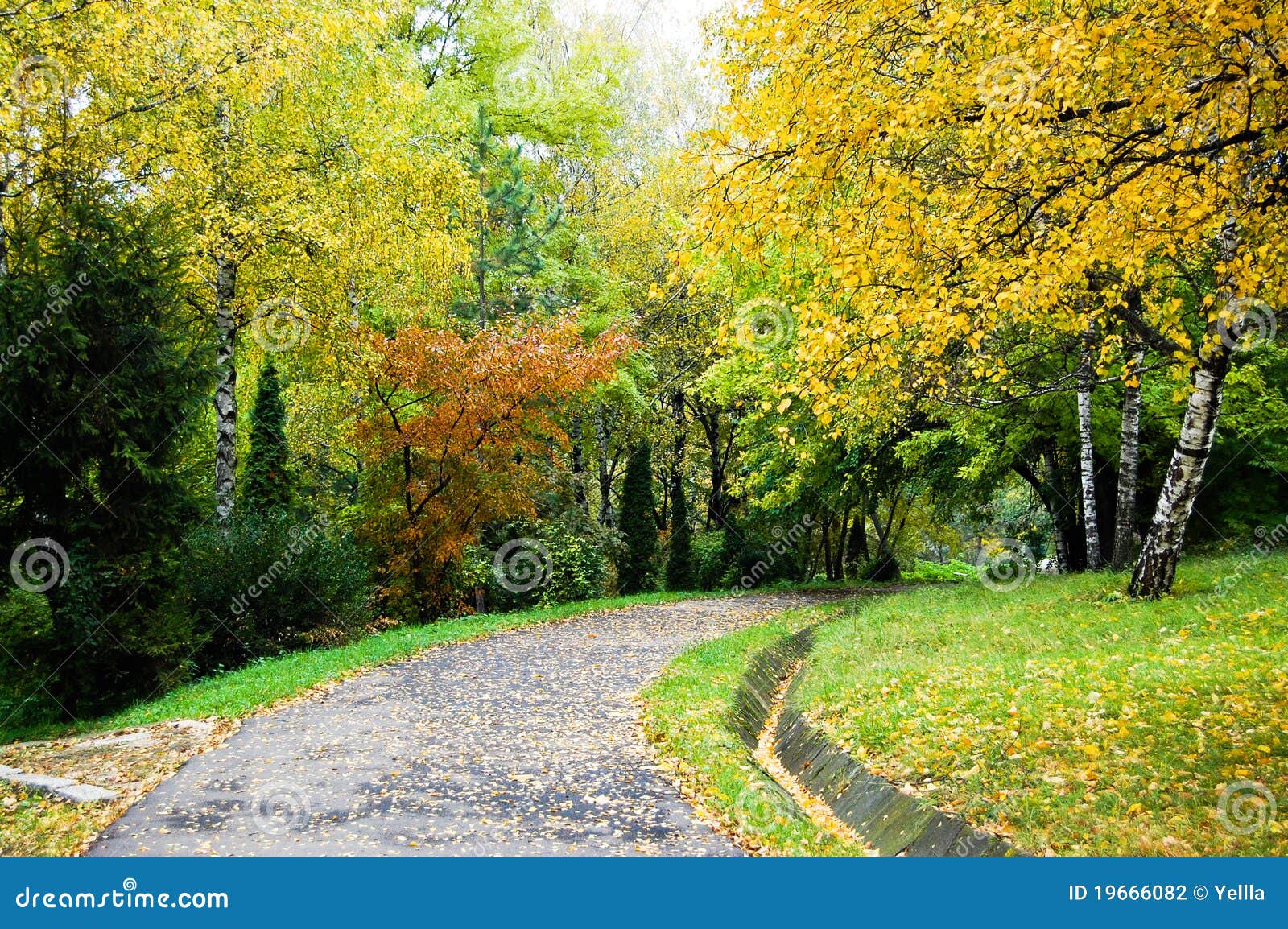 Autumn season in the park stock photo. Image of dumped - 19666082