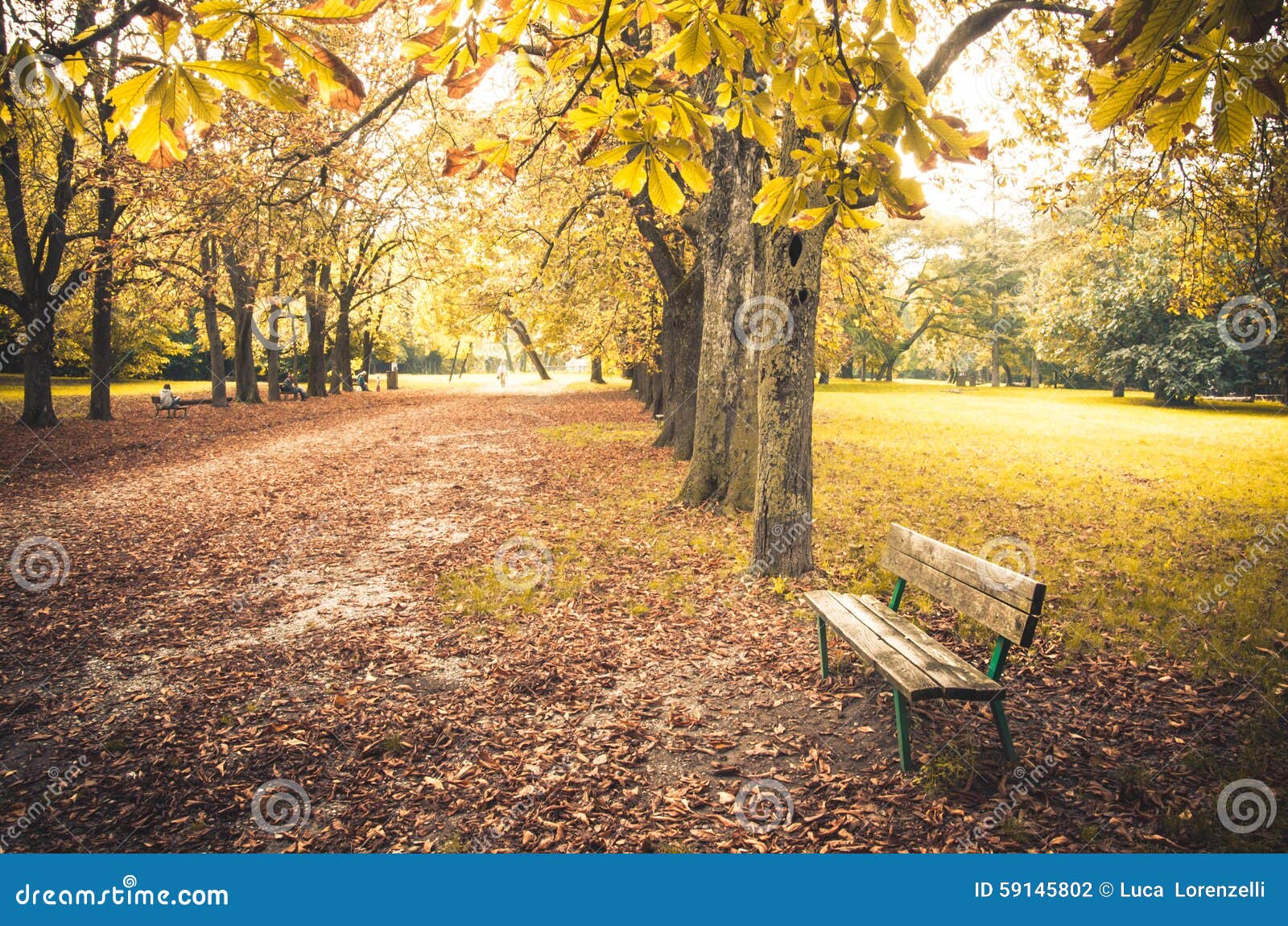 Autumn Season Park Bench in Public Park Stock Photo - Image of ...