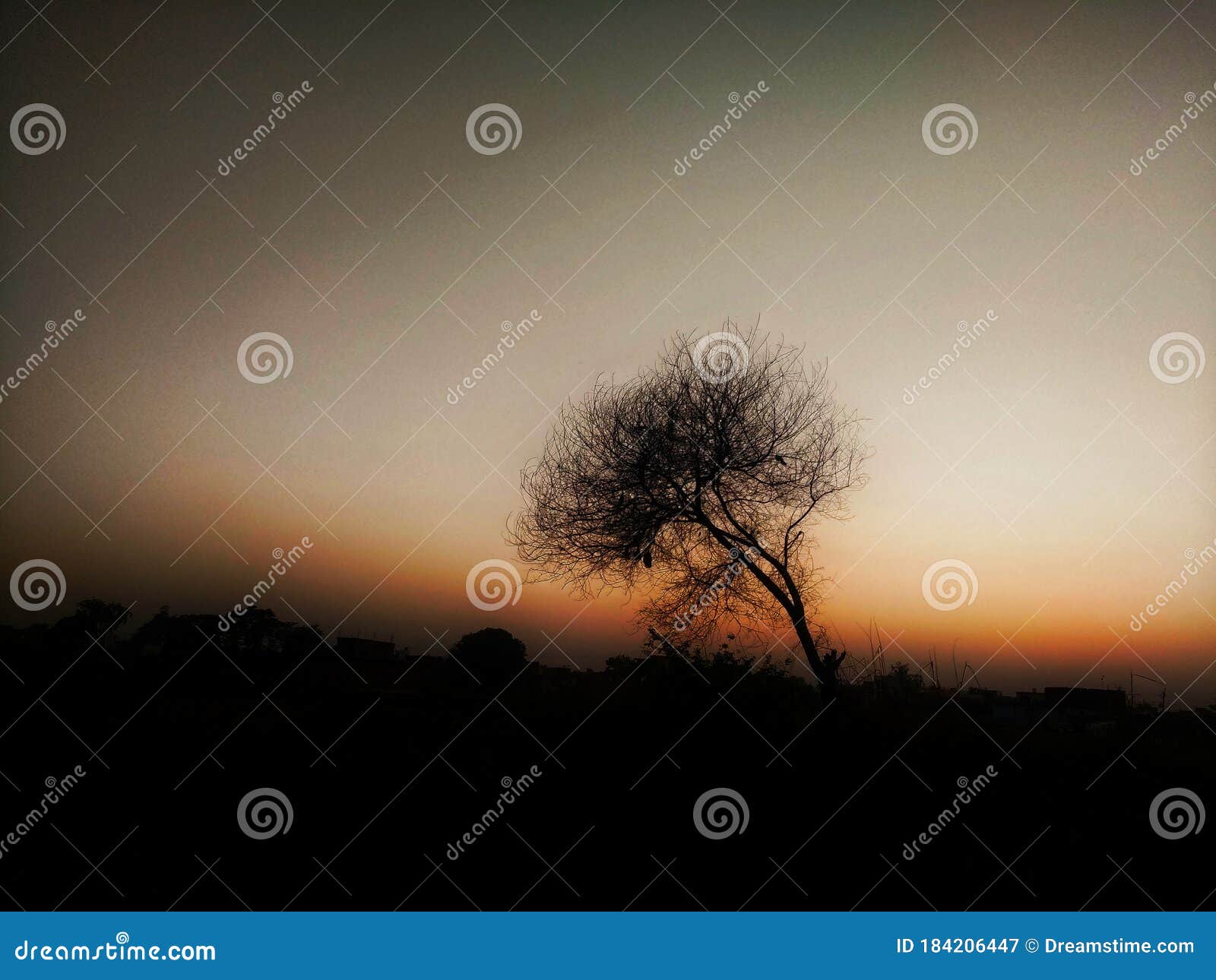 Autumn Season Tree Sunset stock image. Image of fields - 184206447