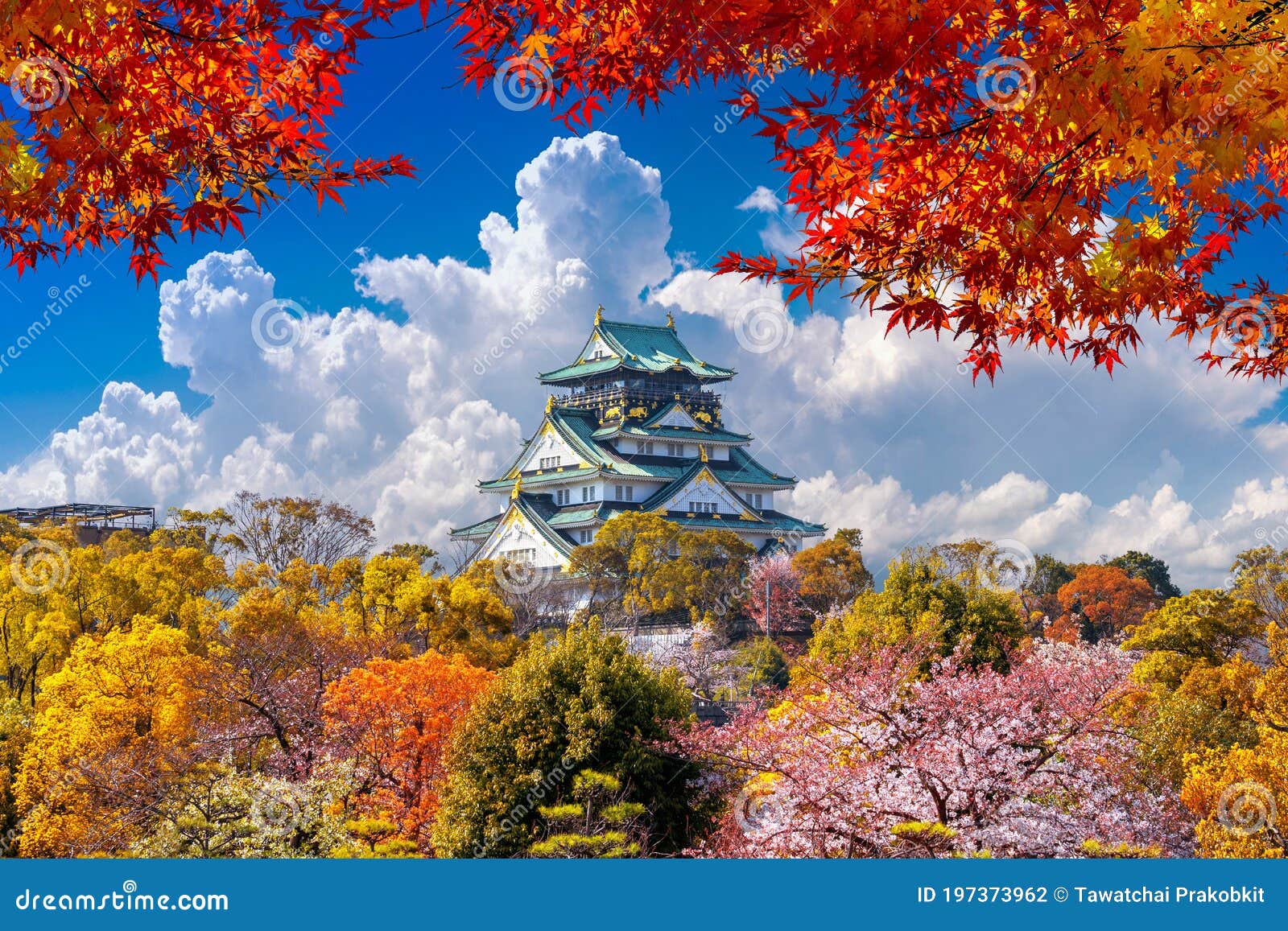 Autumn Seasons and Castle in Osaka, Japan. Stock Photo - Image of ...
