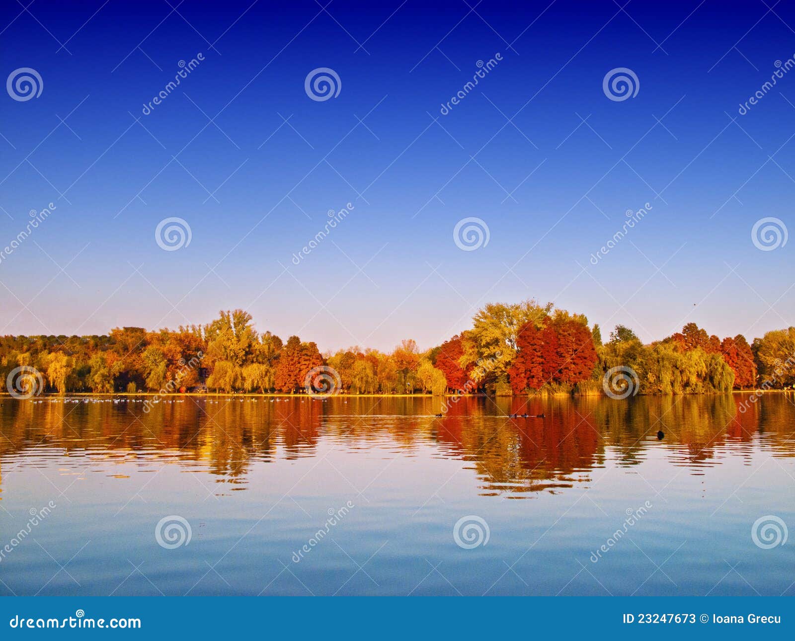 Autumn Seelandschaft stockbild. Bild von wasser, gelb - 23247673
