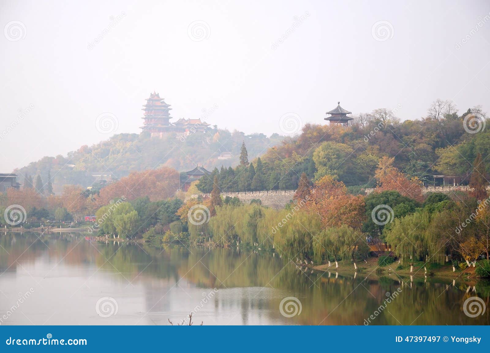 Autumn senery stock image. Image of colorful, trees, road - 47397497