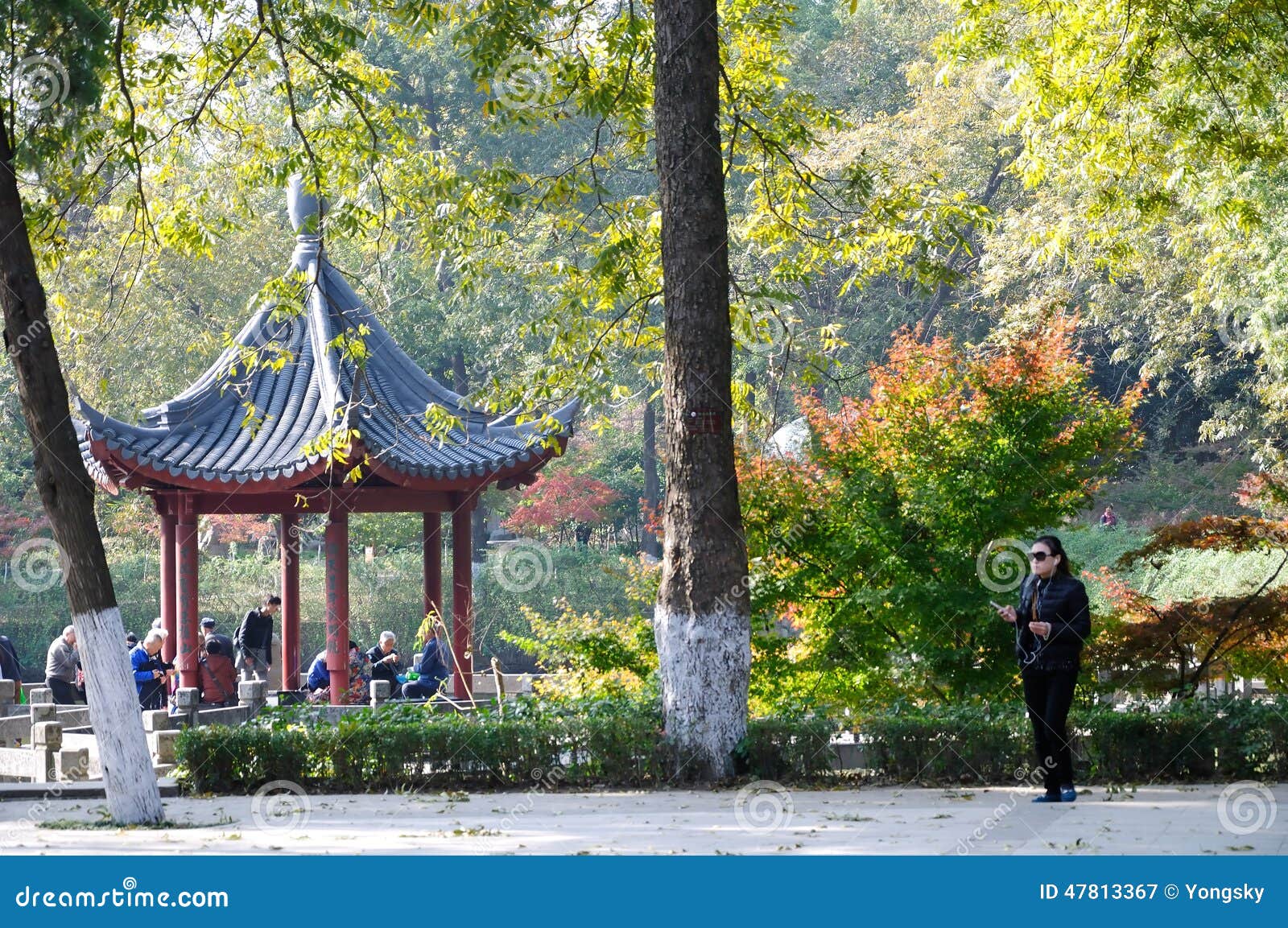 Autumn senery editorial photography. Image of asia, yellow - 47813367