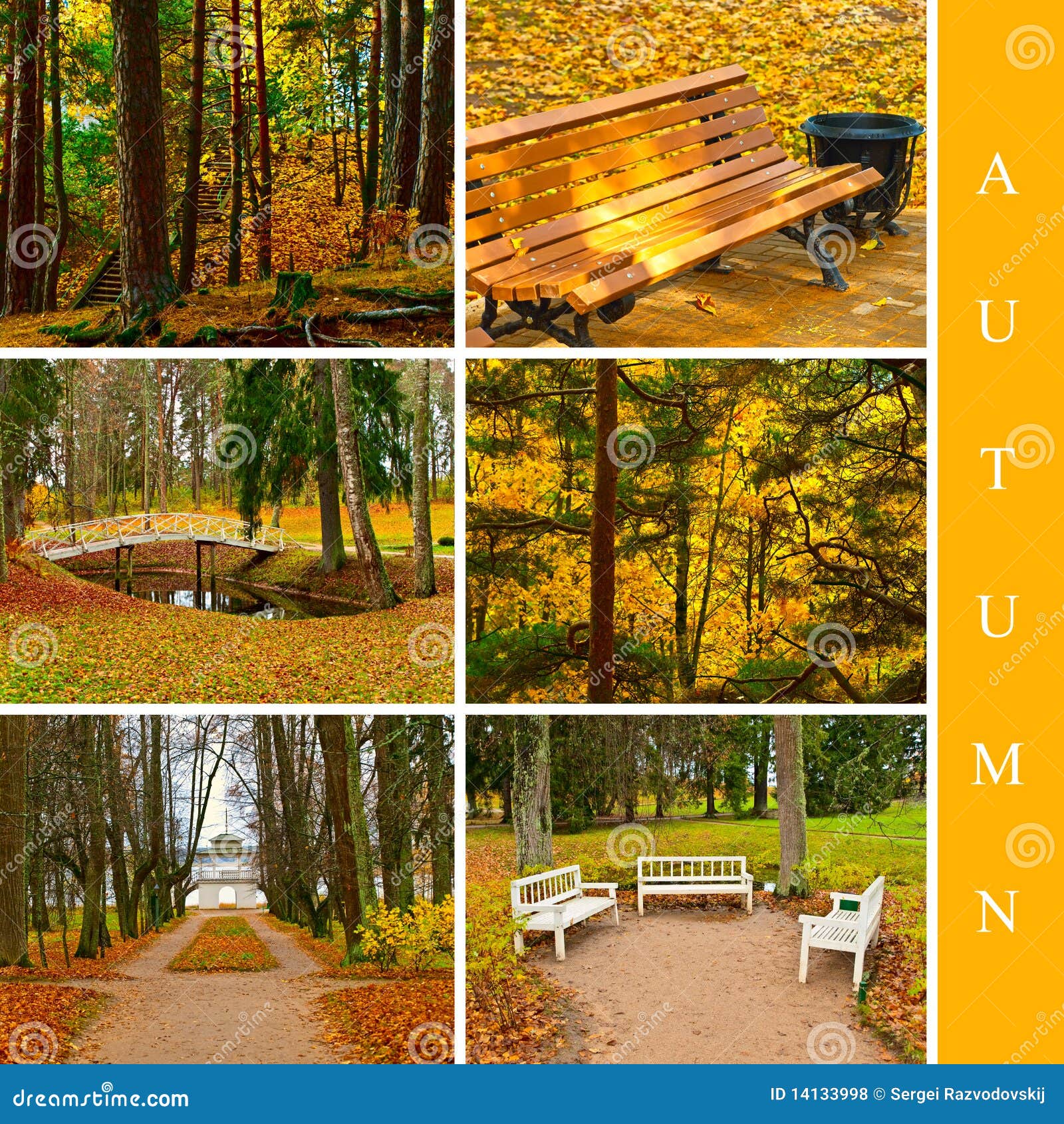 Autumn set stock photo. Image of lush, garden, forest - 14133998