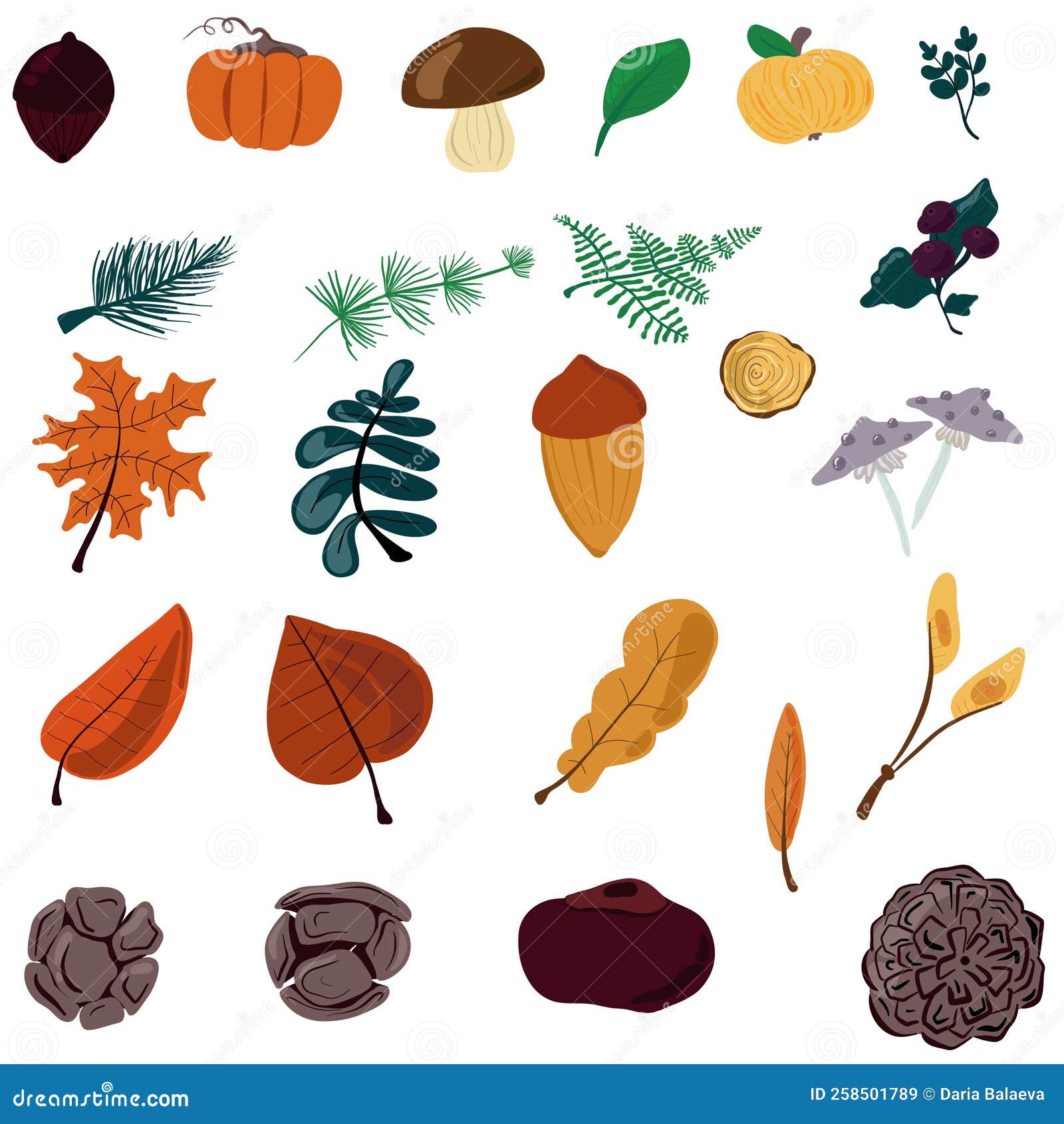 Autumn Set of Isolated Objects Leaves Harvest and Cones Stock Vector ...
