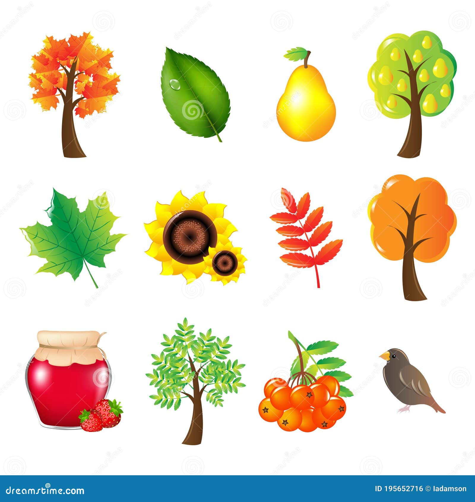 Autumn Set stock vector. Illustration of vector, symbol - 195652716
