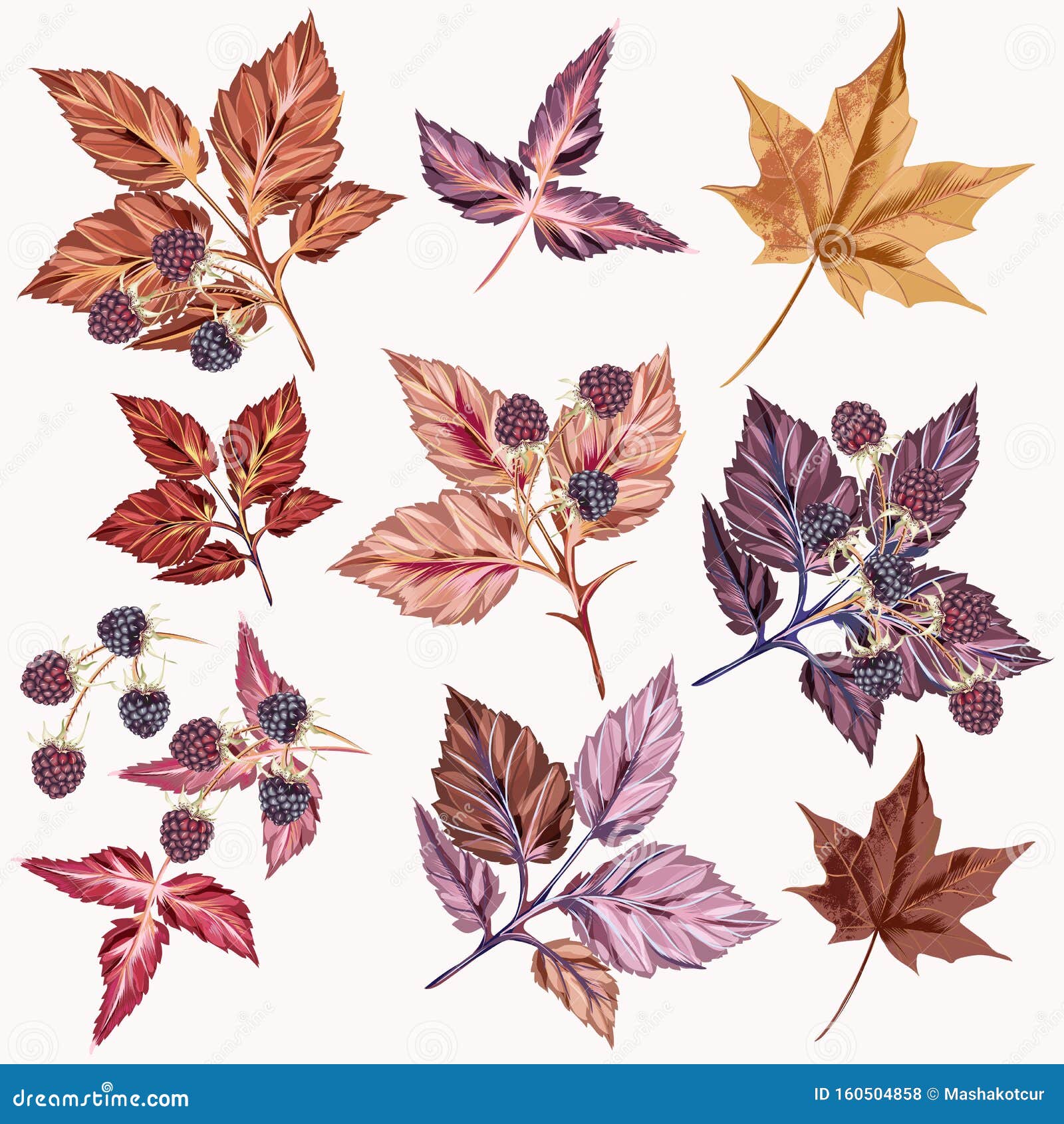 Autumn Set of Vector Detailed Leaves and Berries Stock Vector ...