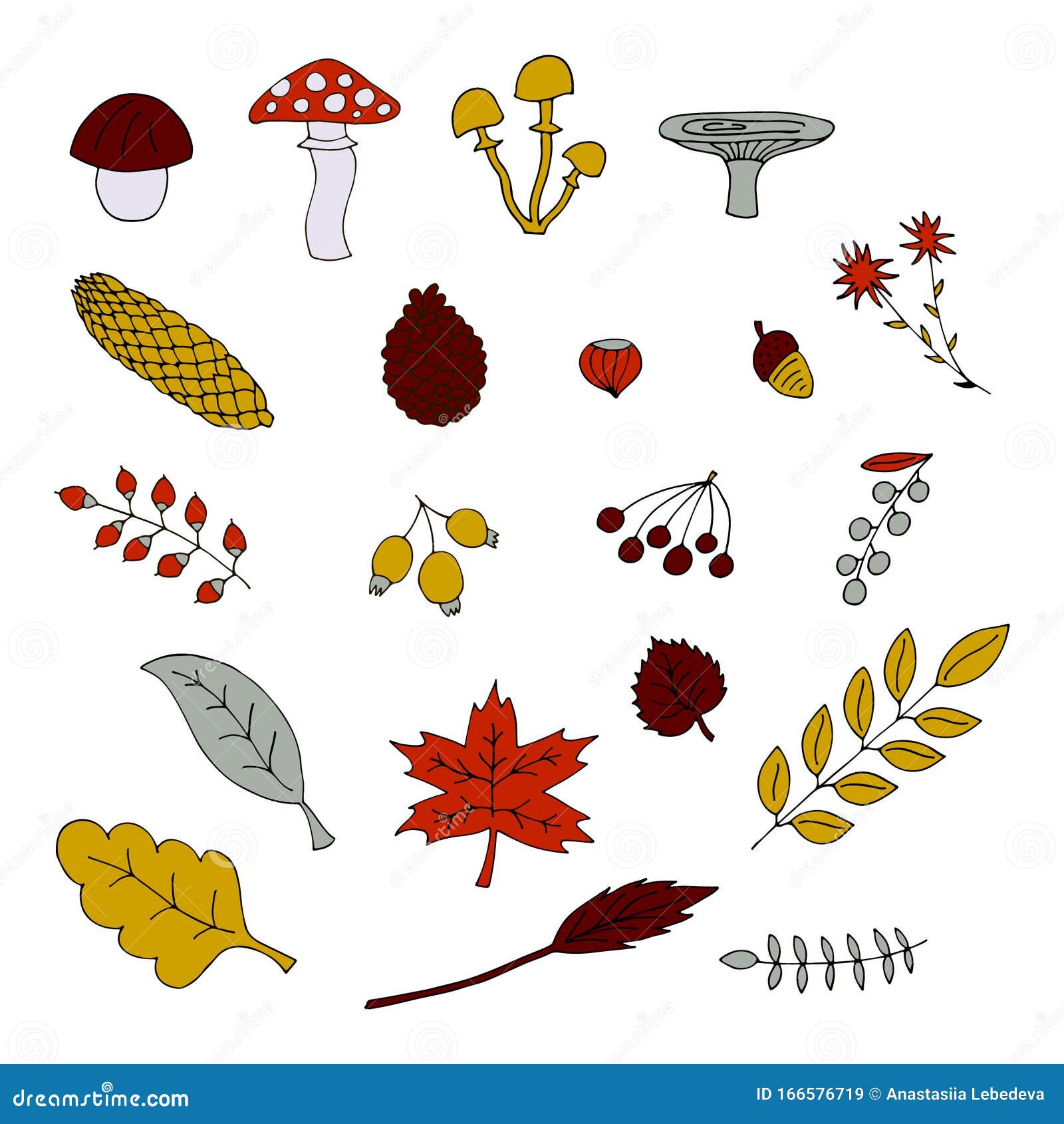 Autumn Set of Natural Objects Stock Illustration - Illustration of ...