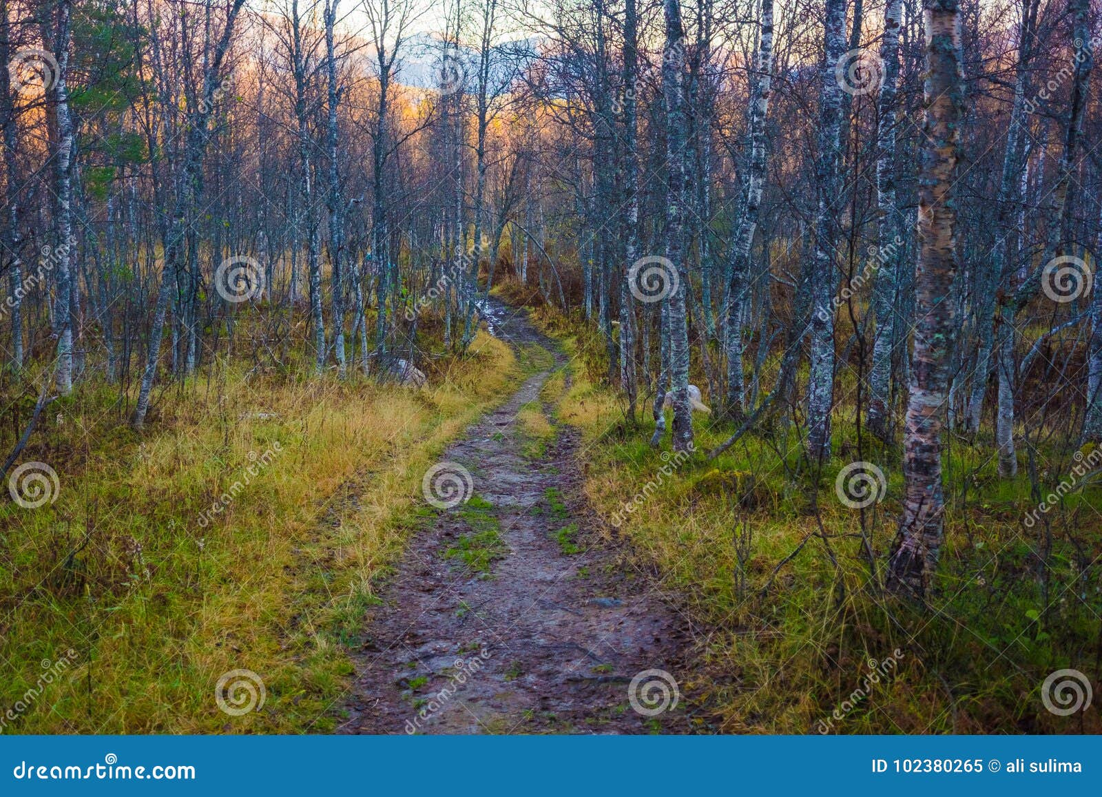 Setermoen Town Stock Photos - Free & Royalty-Free Stock Photos from ...