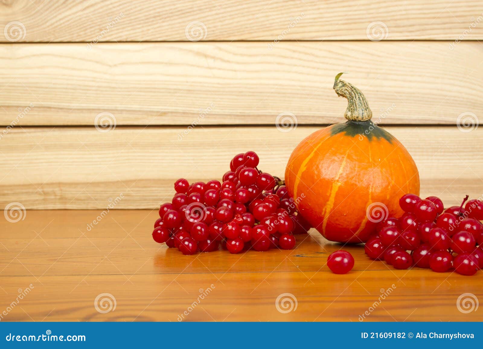 Autumn Setting stock photo. Image of fruit, cranberries - 21609182