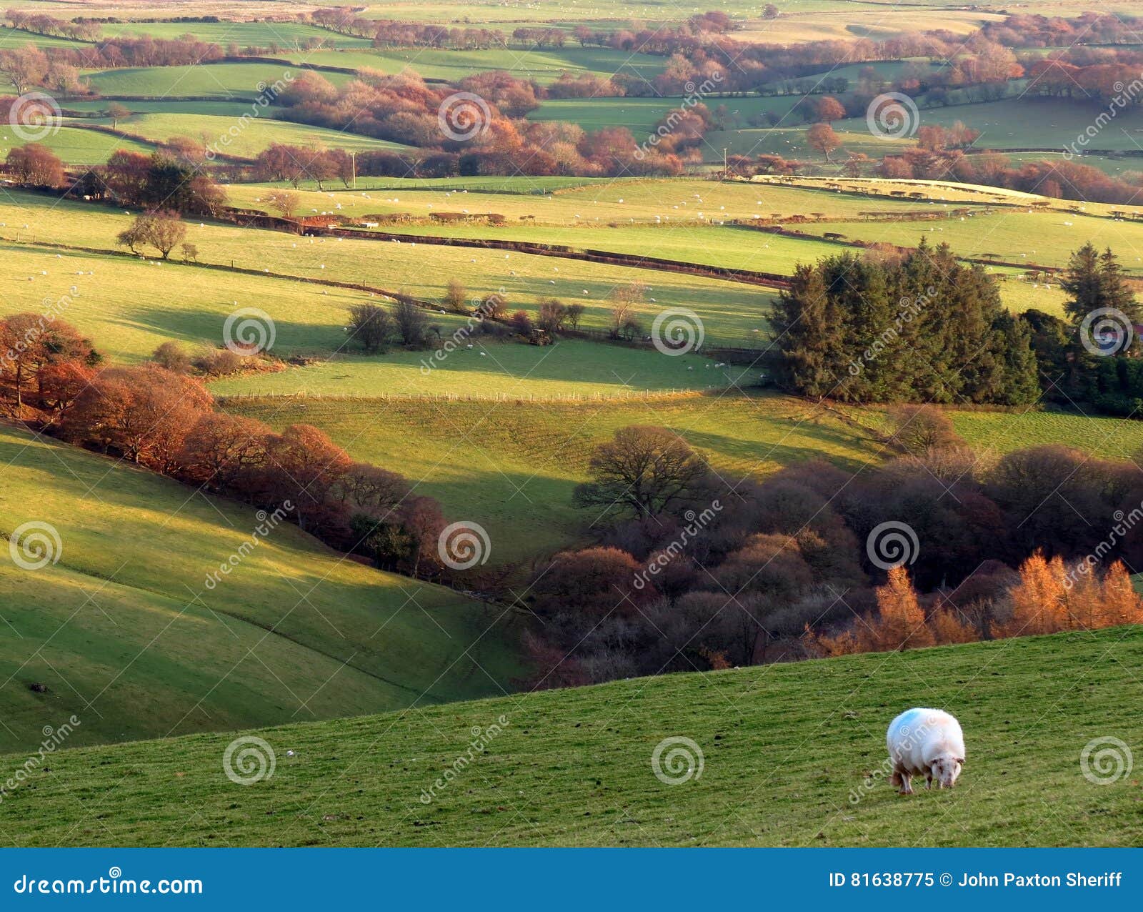 Autumn shadows stock image. Image of sunlight, patterns - 81638775