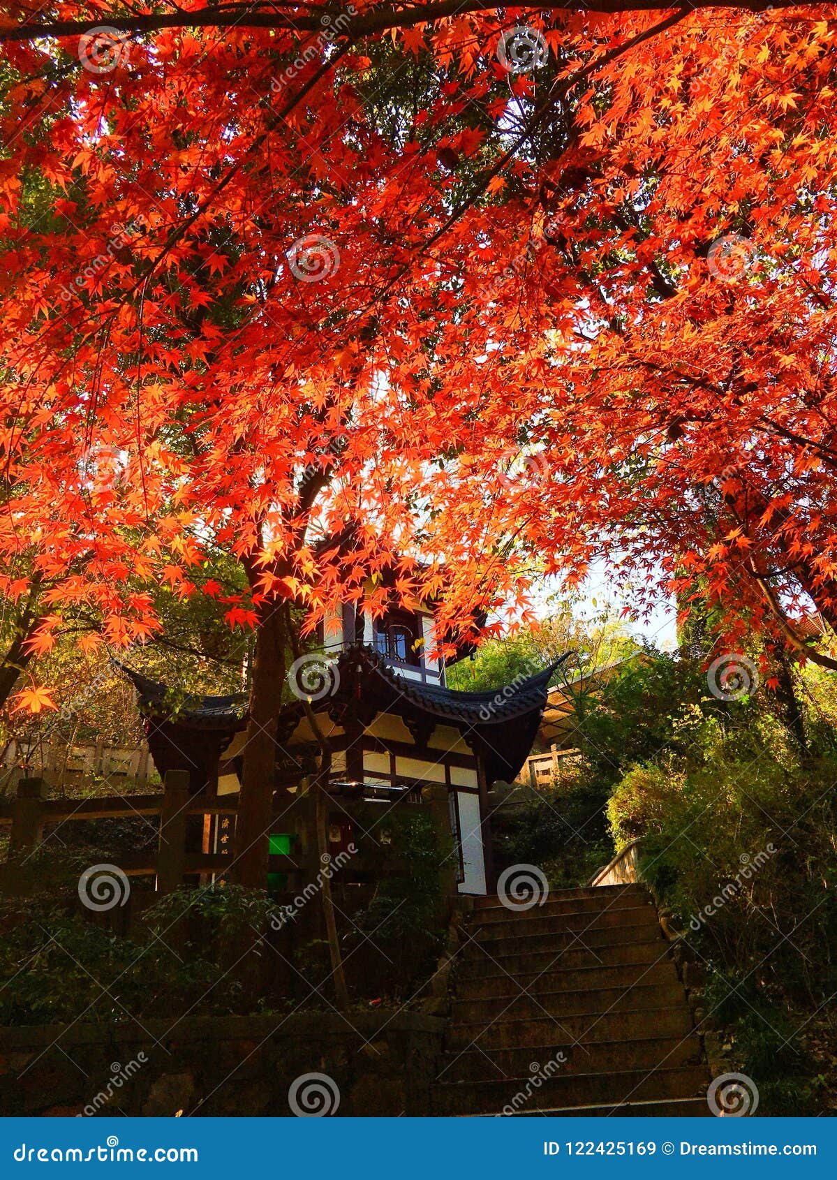 Autumn in Shanghai stock image. Image of autumn, shanghai - 122425169