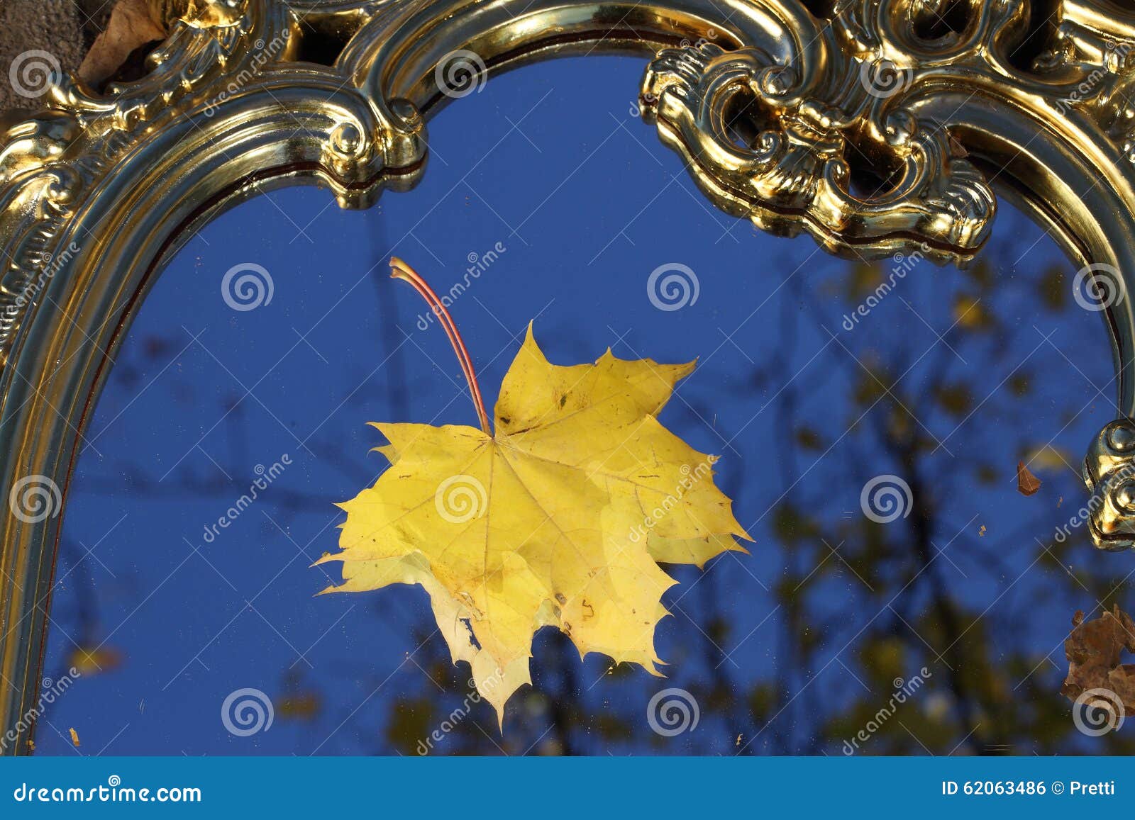 Autumn Sheet of a Maple on a Mirror in Sky Reflexion Stock Photo ...