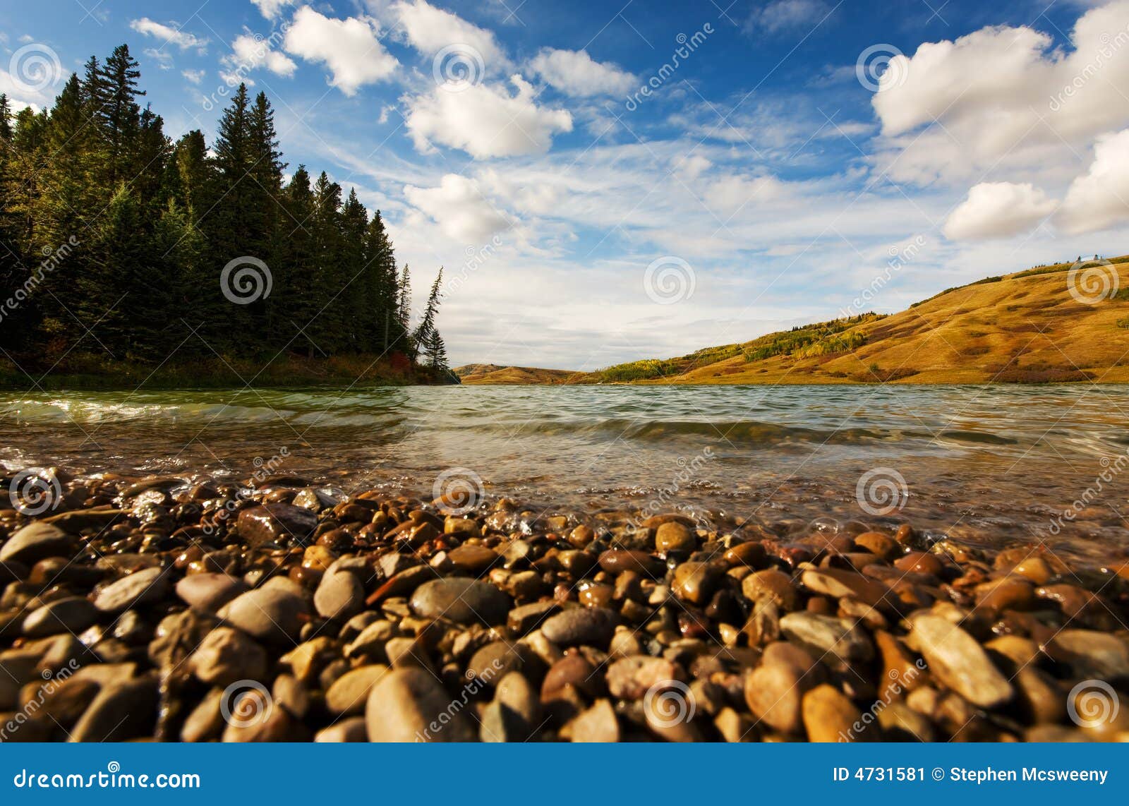 Autumn shore stock image. Image of trees, seasonal, shore - 4731581