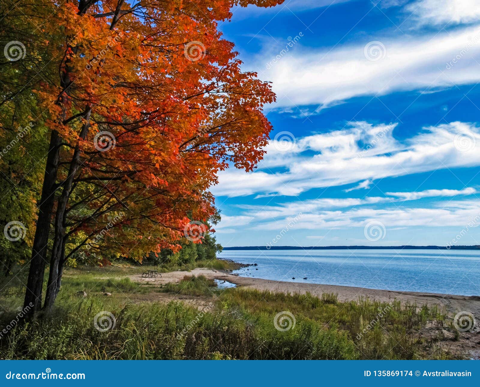 Autumn on the Shore of Lake Huron, a Autumn Landscape Stock Photo ...