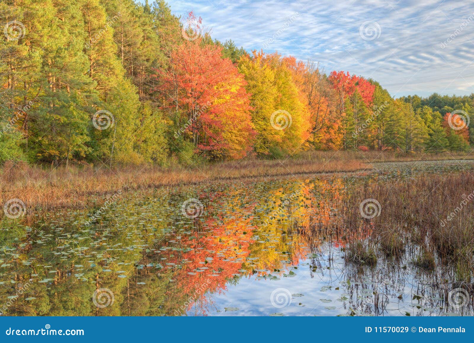 Autumn Shoreline stock image. Image of michigan, wilderness - 11570029