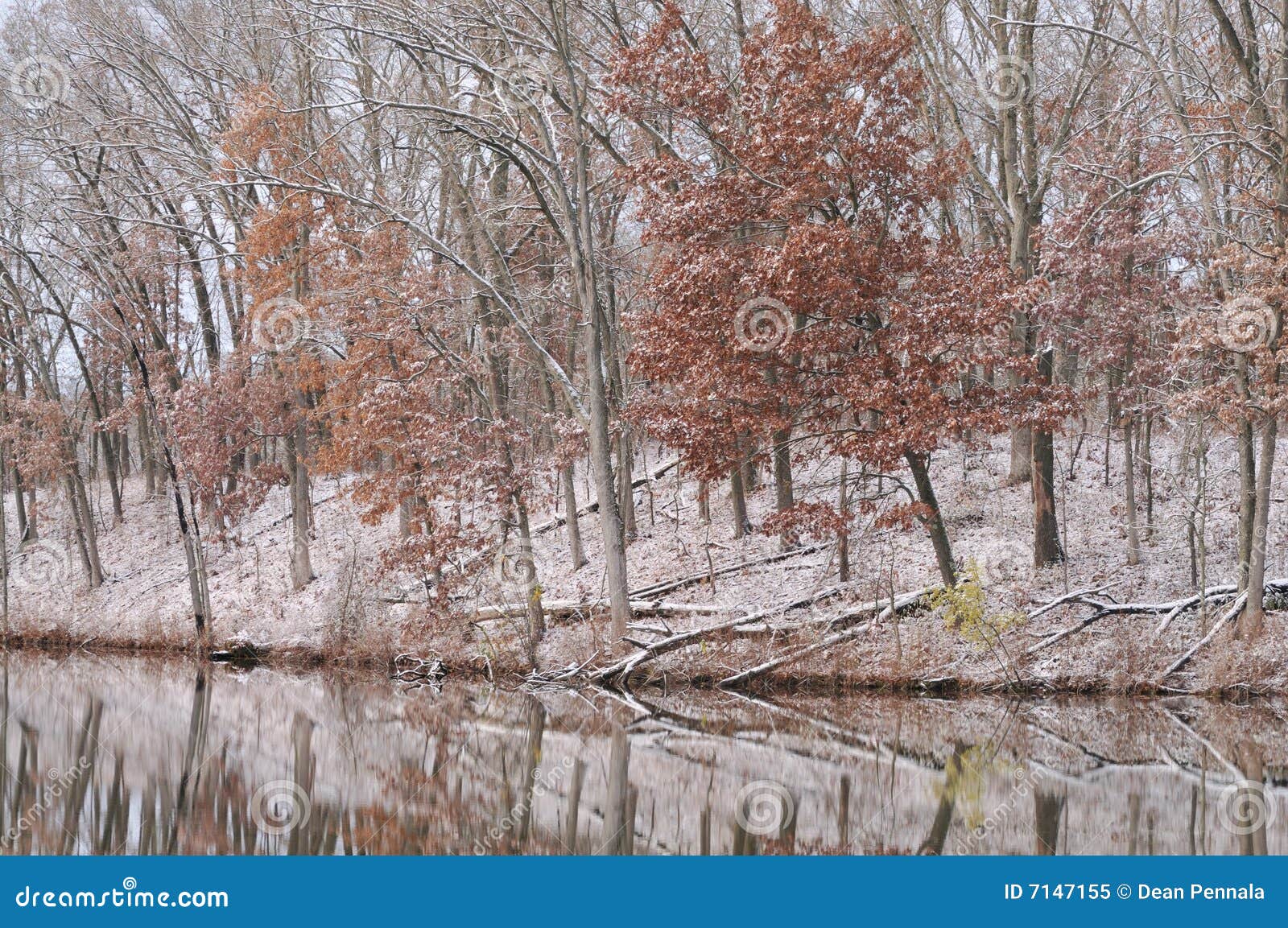 Autumn Shoreline stock image. Image of shore, autumn, nature - 7147155