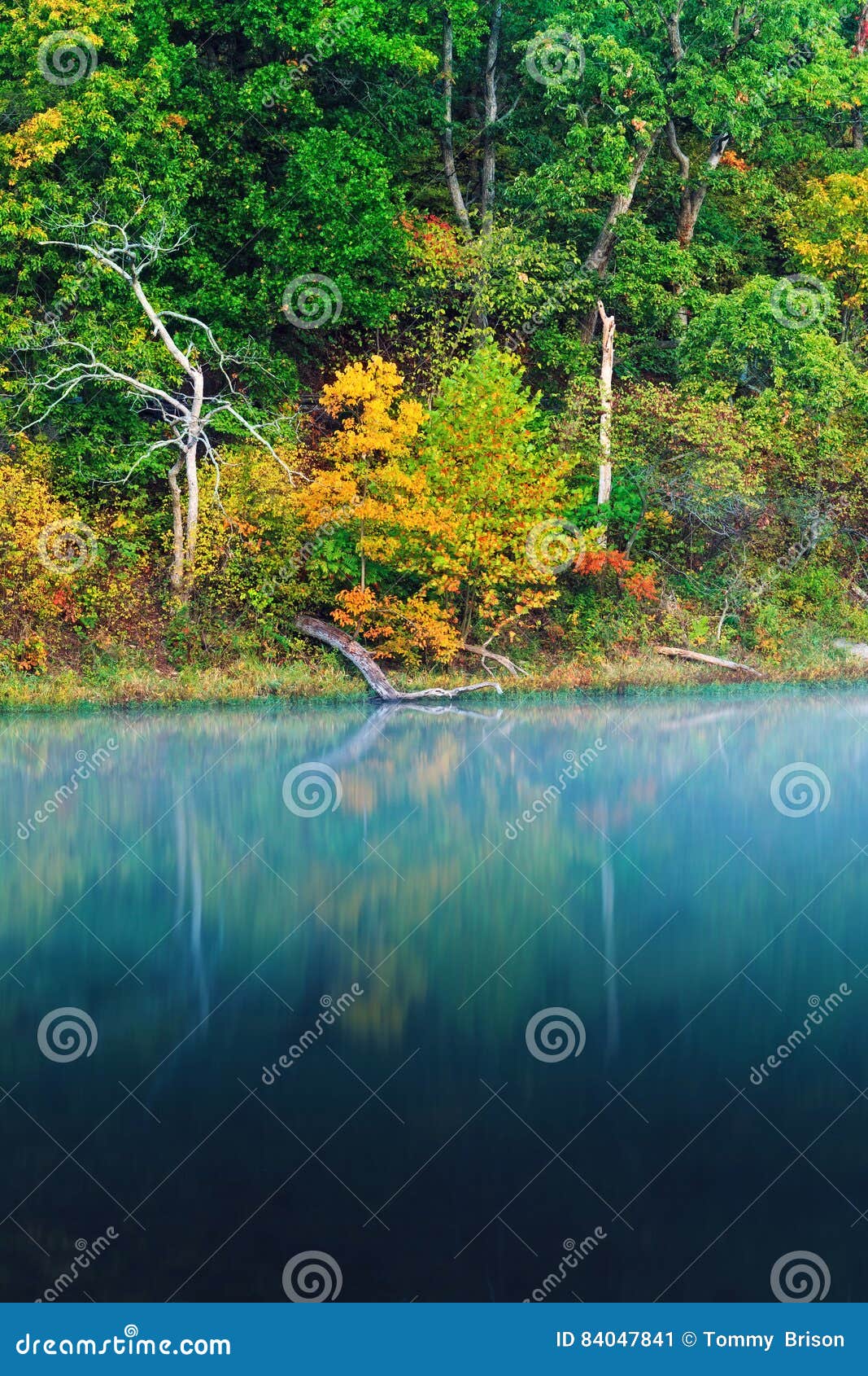 Autumn Shoreline Reflections Stock Image - Image of leafage, reflecting ...