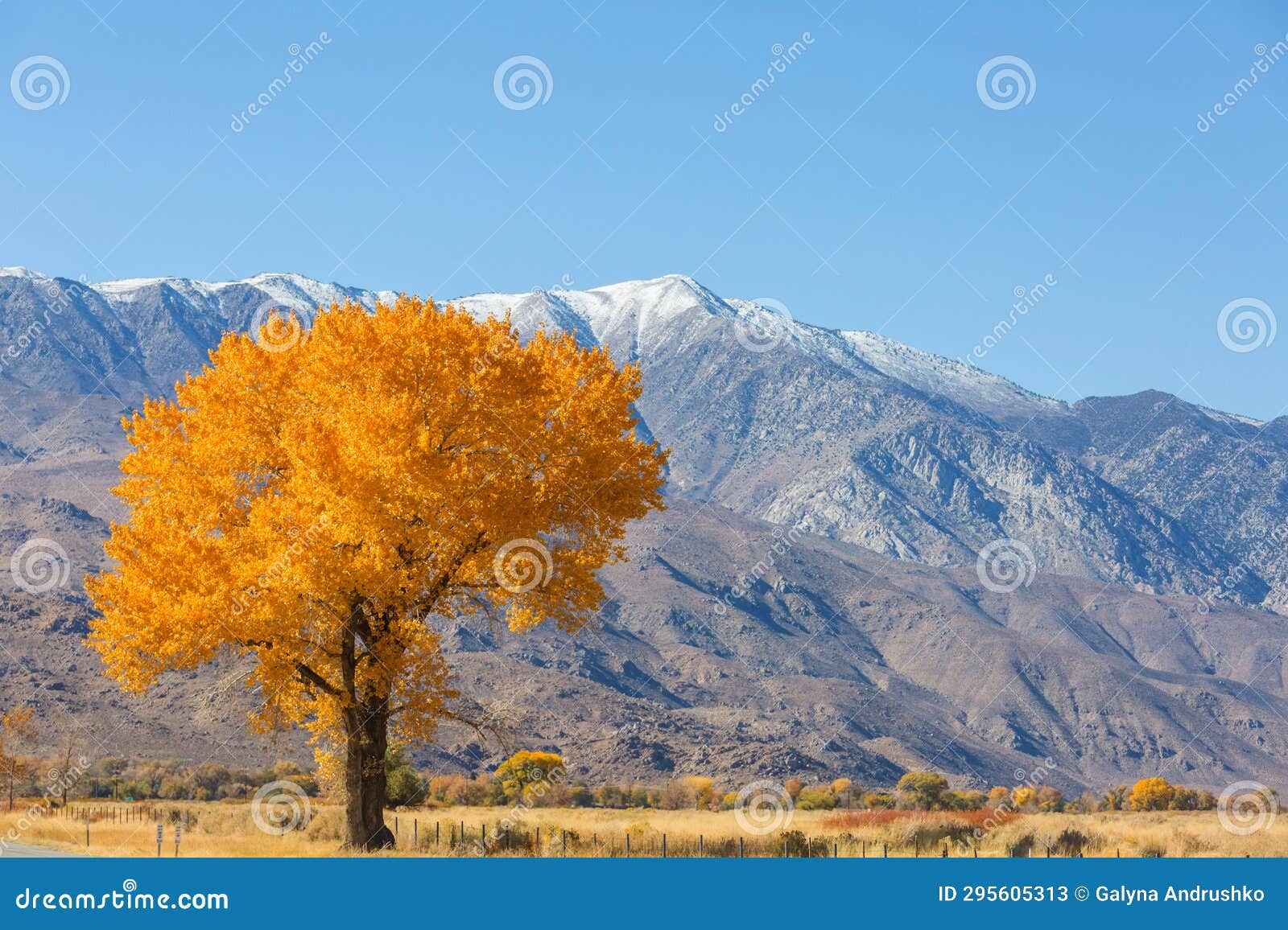 Autumn in Sierra Nevada stock image. Image of colorful - 295605313
