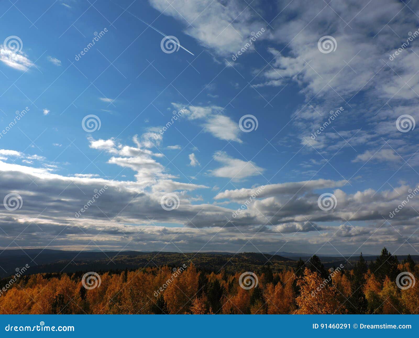 Autumn sky stock image. Image of forest, horizon, green - 91460291