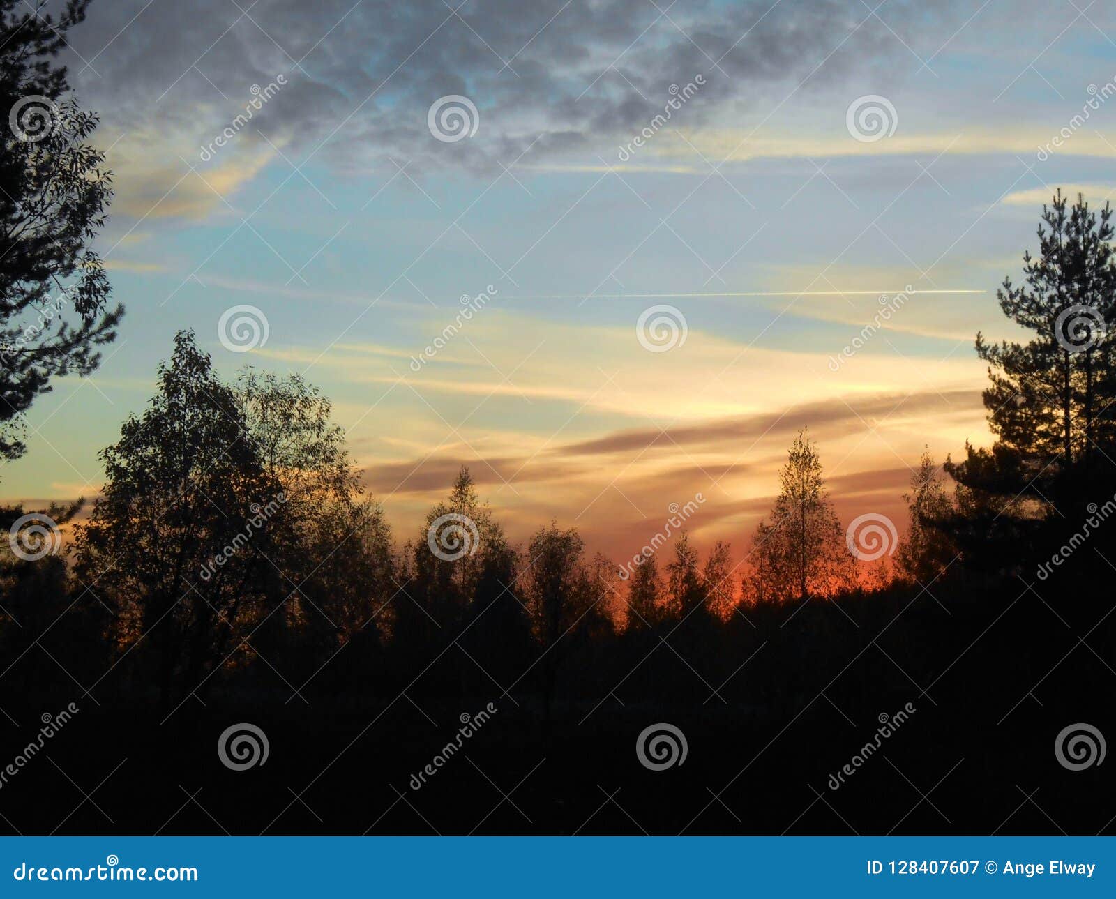 Bright-red Sundown in the Forest. Stock Image - Image of lights, stripe ...