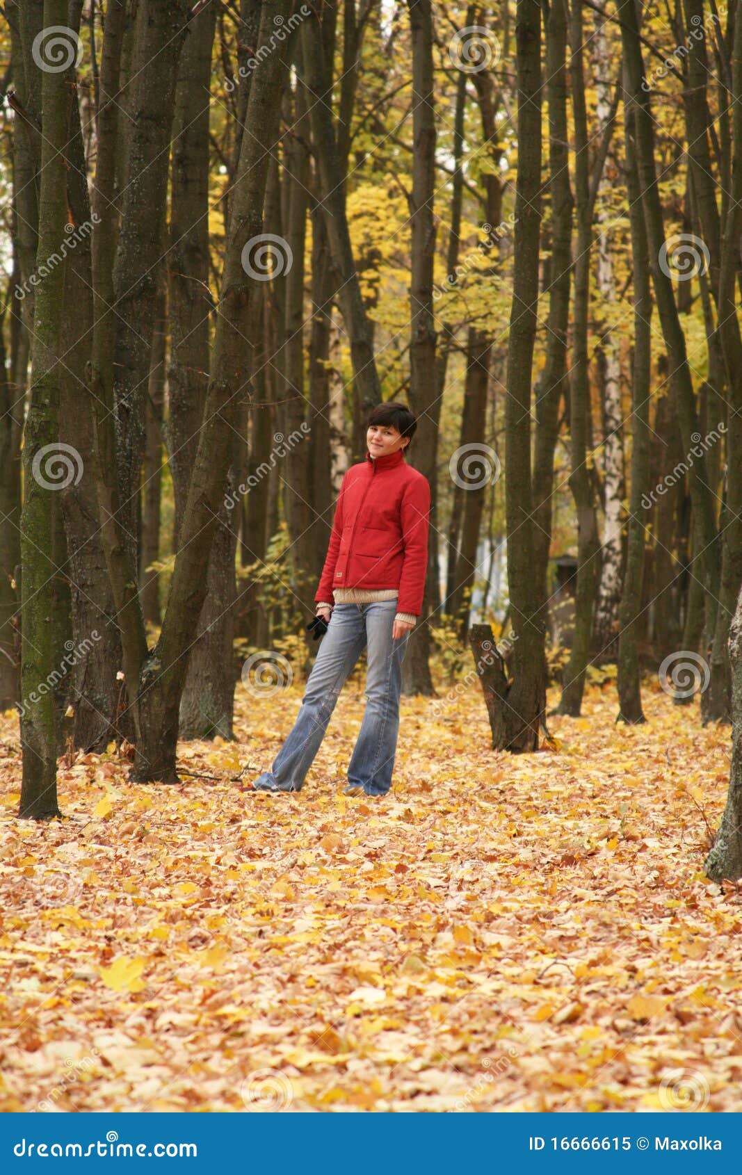 Autumn smile stock image. Image of leaves, garden, tree - 16666615