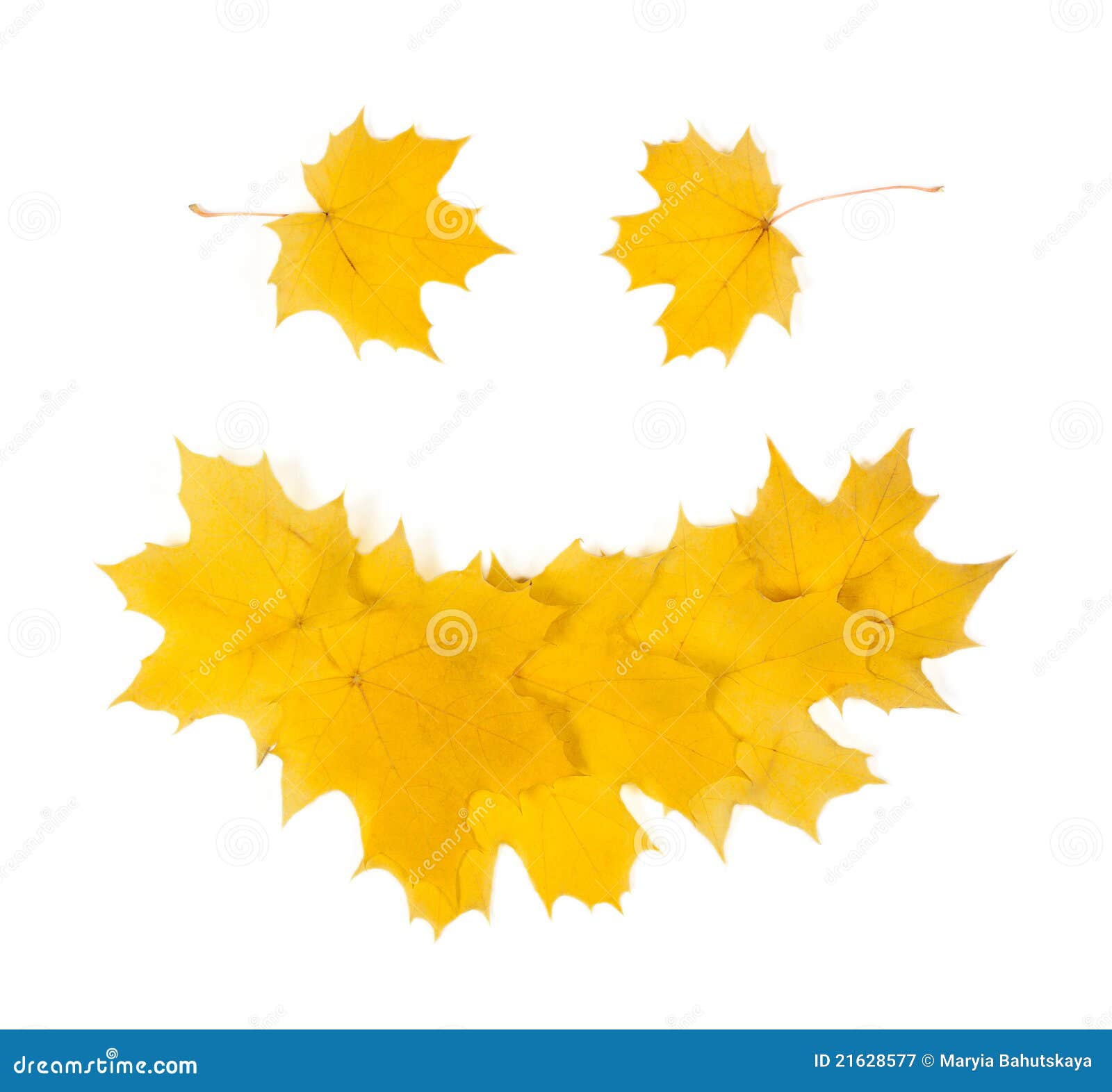 Autumn smile stock image. Image of garden, color, foliage - 21628577