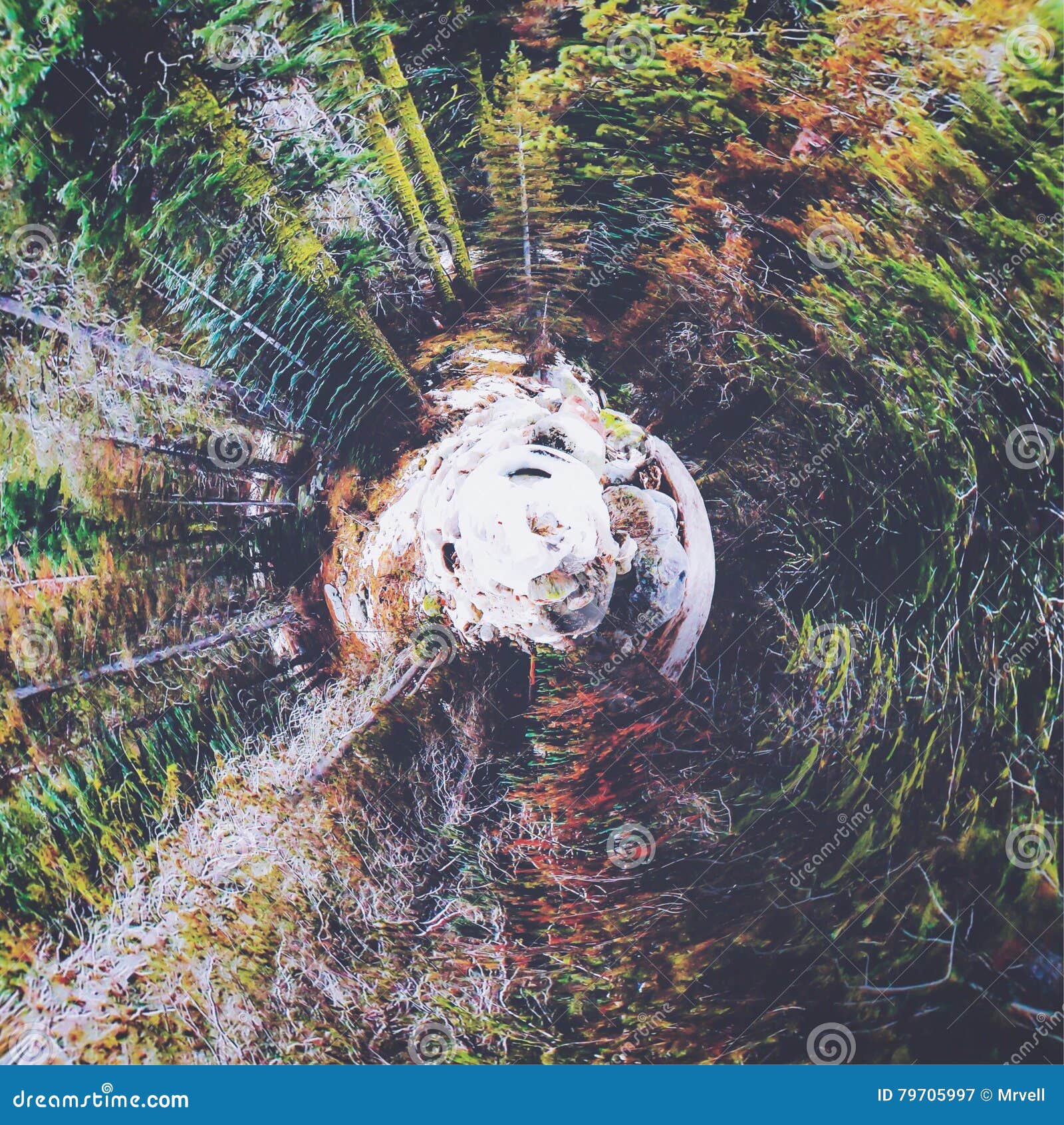 Autumn snow in the forest stock illustration. Illustration of mini ...