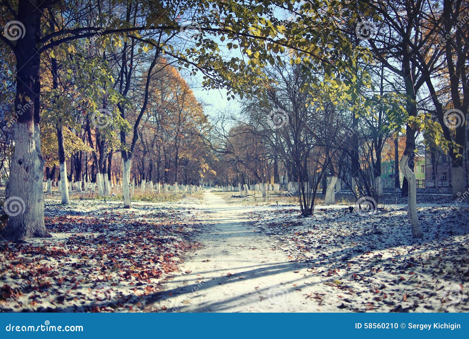 Autumn Snow Park stock photo. Image of season, destination - 58560210