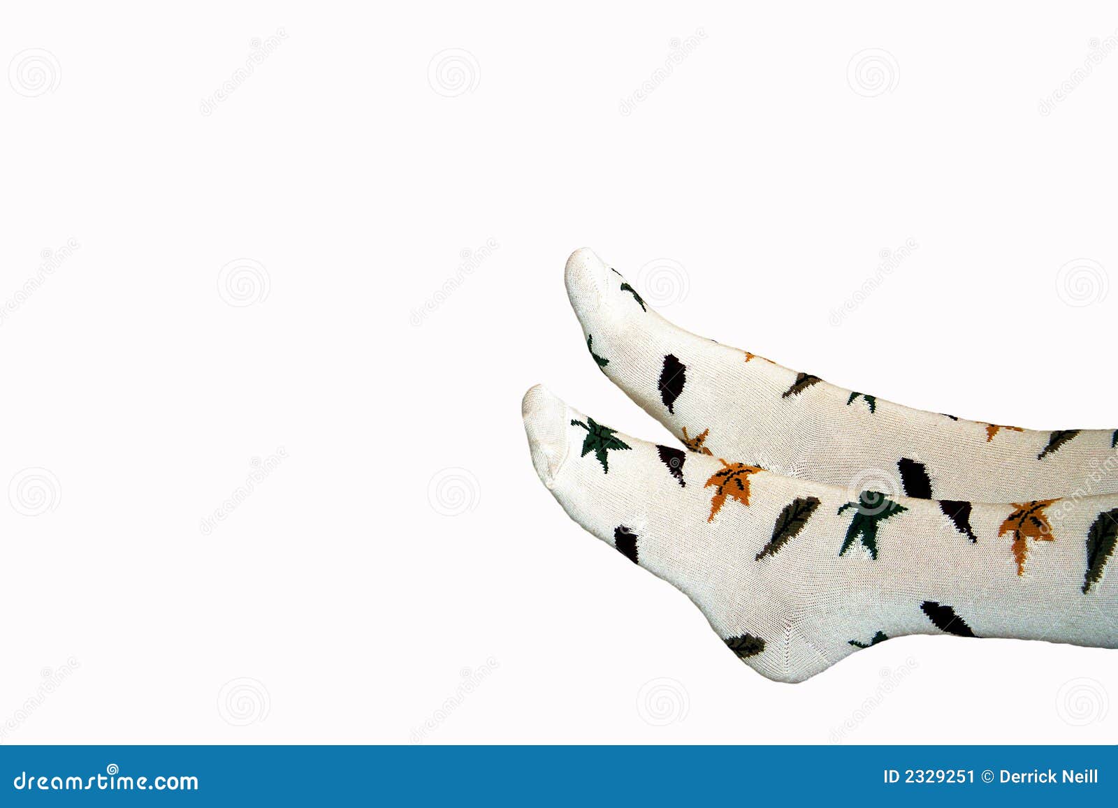 Autumn Socks stock image. Image of clothes, nature, whimsical - 2329251