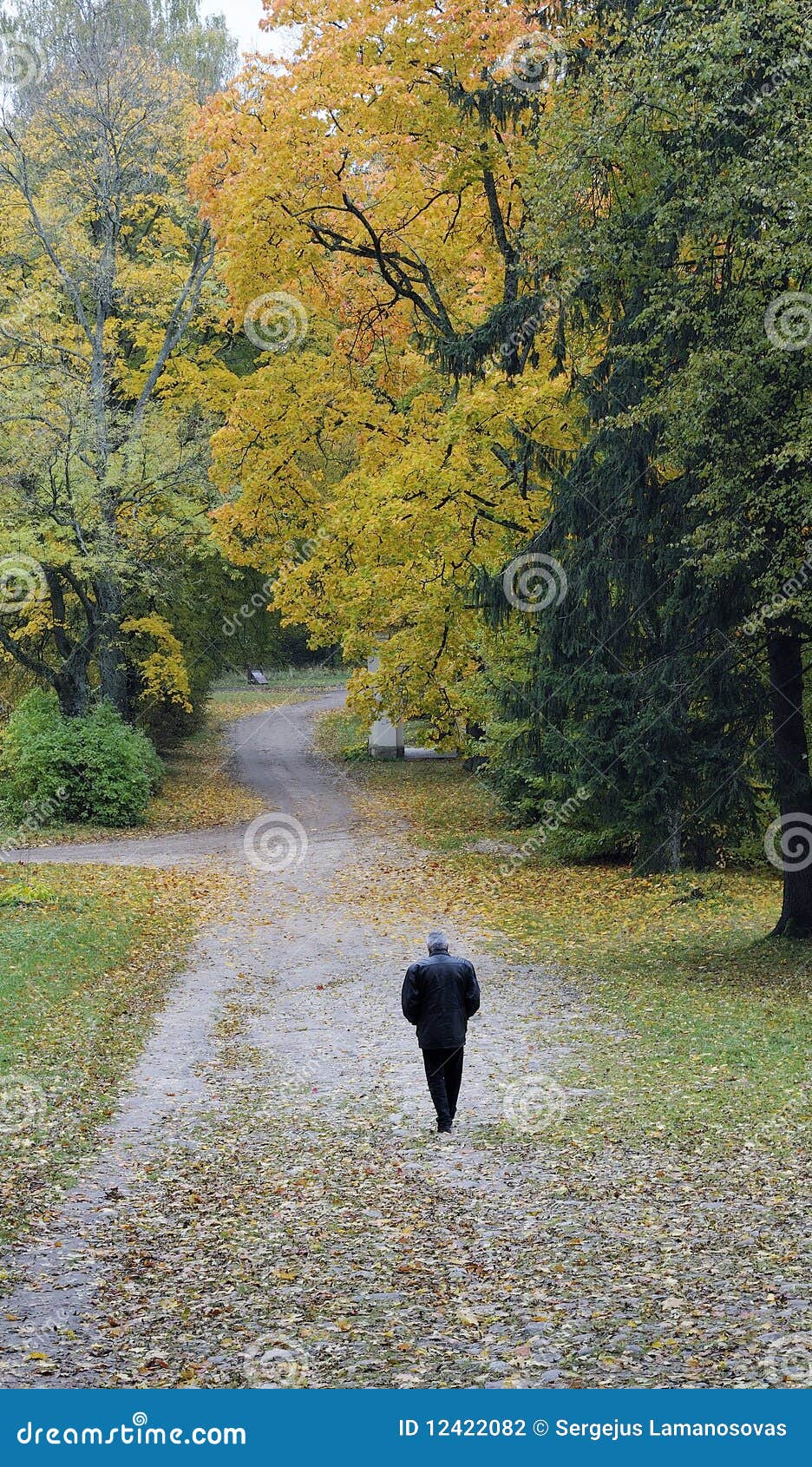 Autumn solitude stock photo. Image of autumn, leaf, loneliness - 12422082