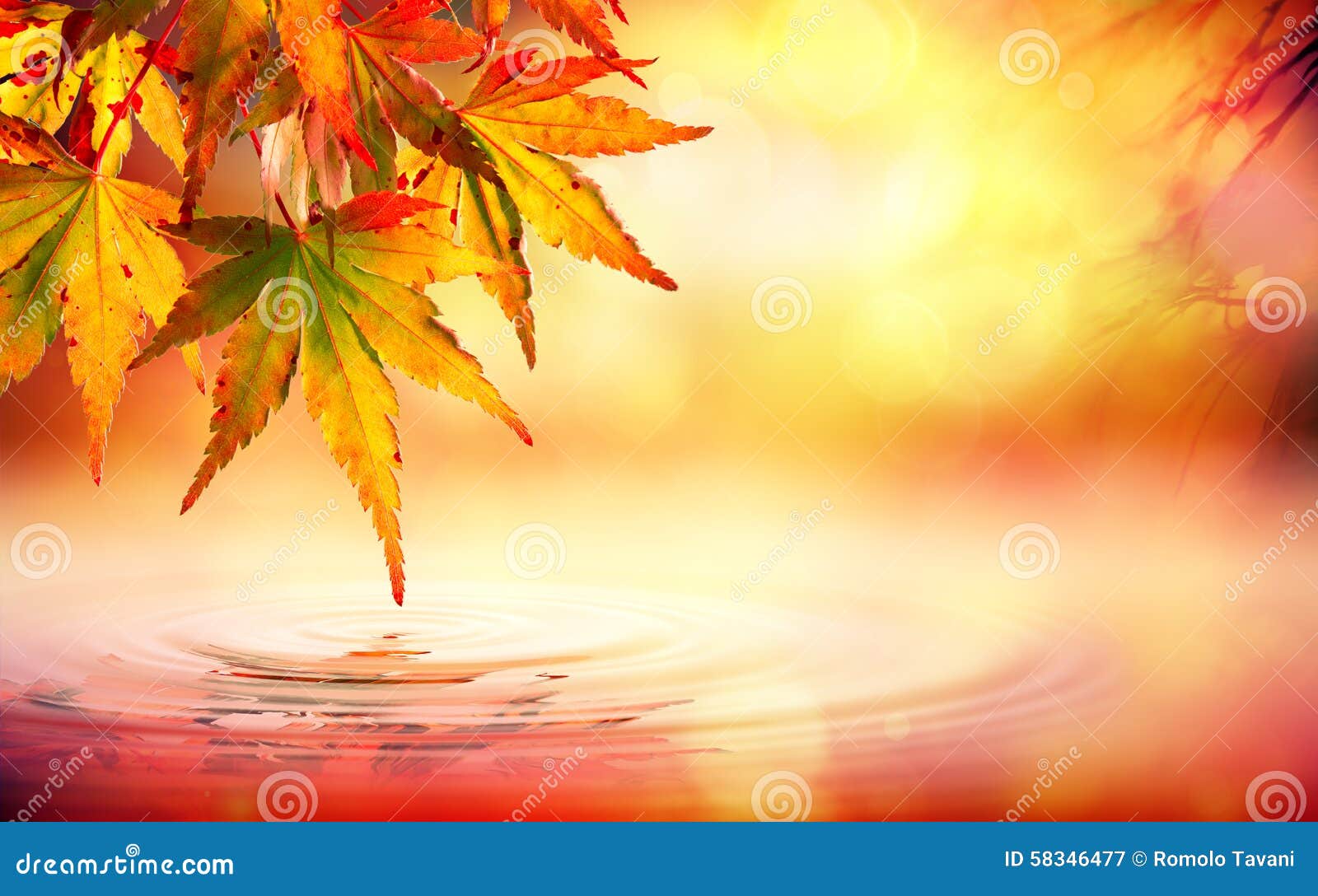 Autumn Spa Background with Red Leaves Stock Image - Image of space ...