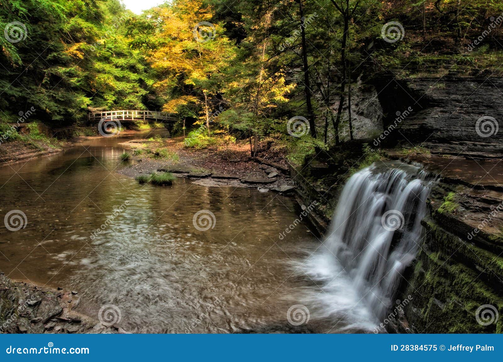 Autumn Splendor stock image. Image of fall, forrest, beds - 28384575