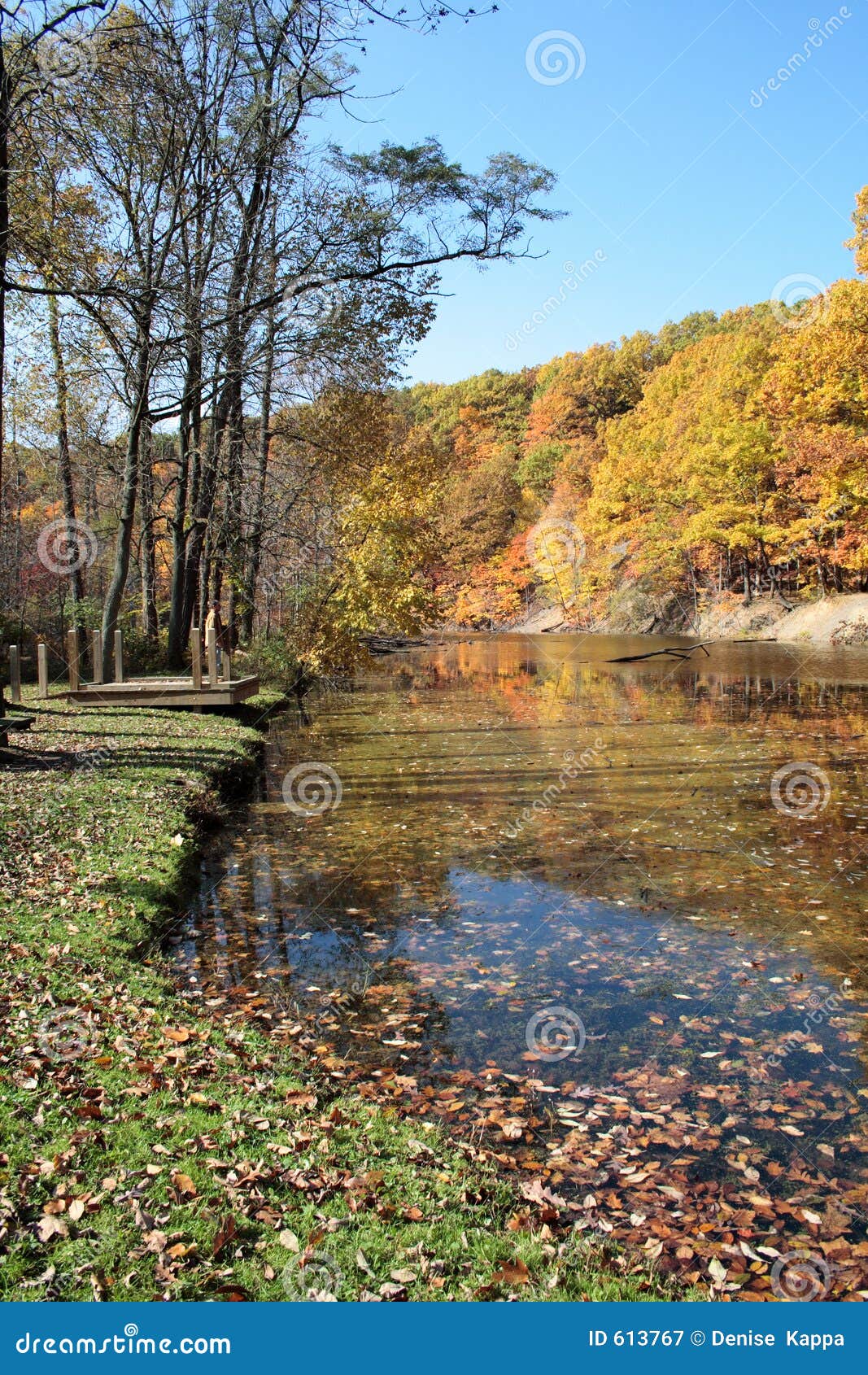 Autumn Splendor stock image. Image of blue, september, tree - 613767