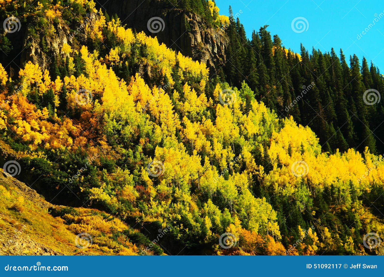 Autumn splendor stock image. Image of shrubland, grass - 51092117
