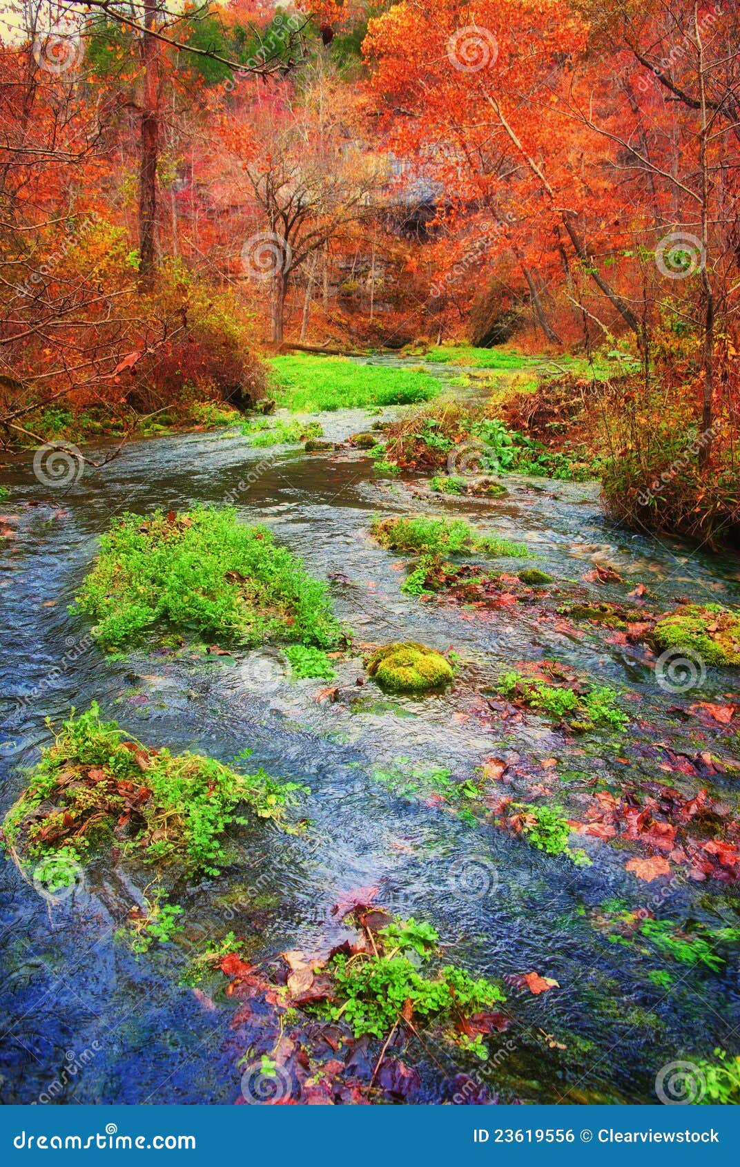 Autumn spring in missouri stock photo. Image of environment - 23619556
