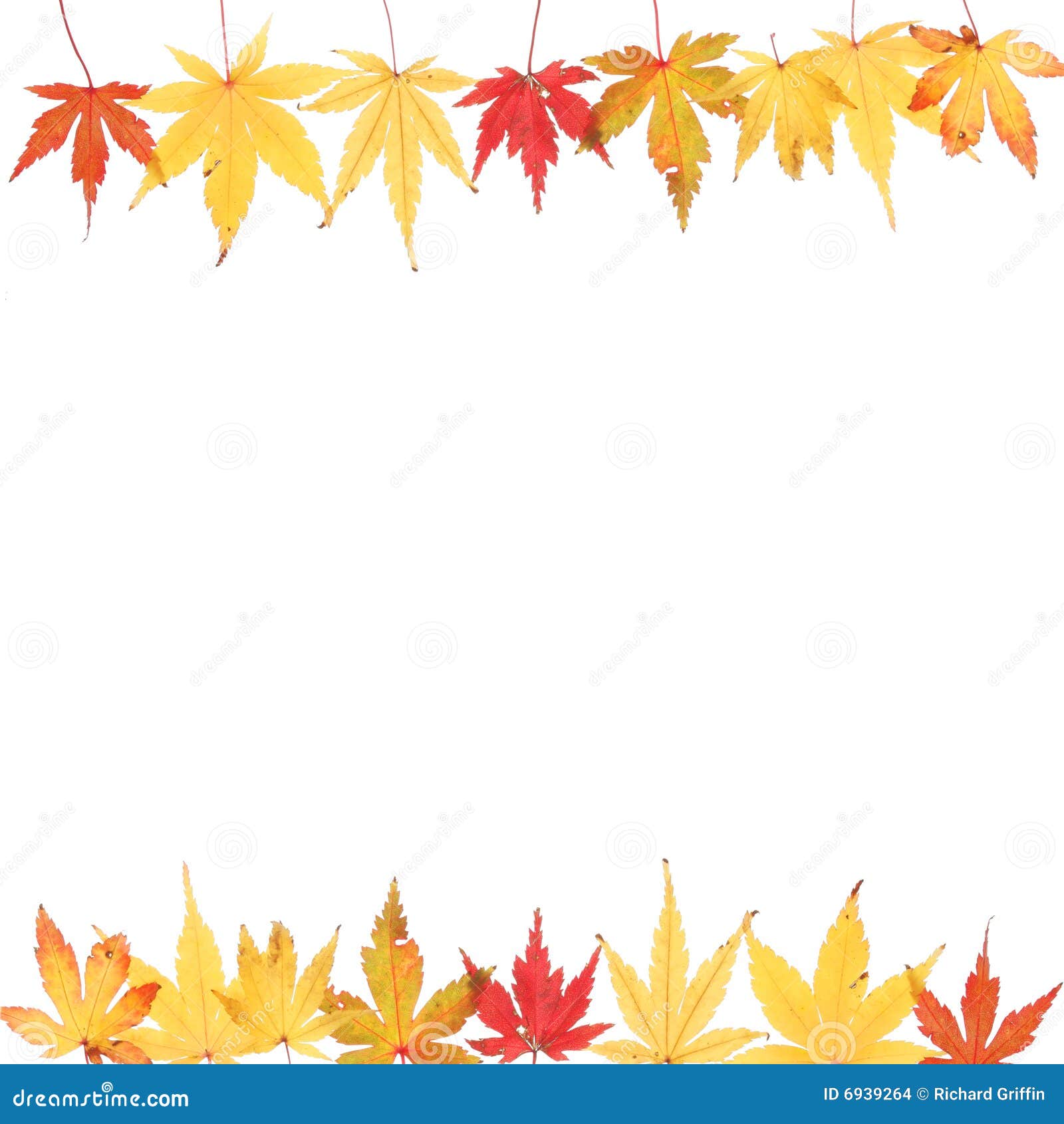 Autumn square frame stock photo. Image of autumn, border - 6939264