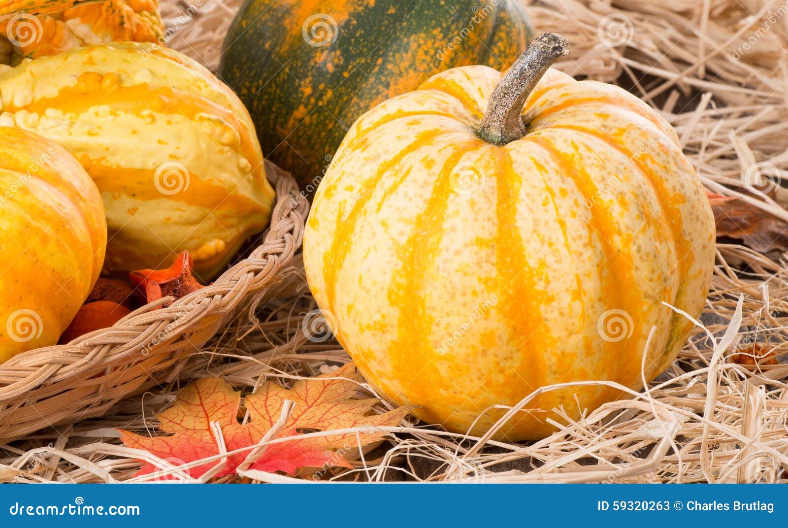 Autumn Squash Closeup imagem de stock. Imagem de colheita - 59320263