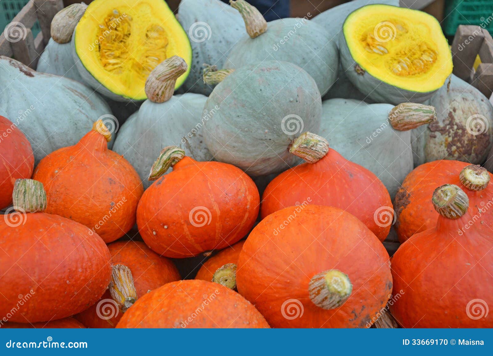 Autumn Squash Varieties stock photo. Image of autumn - 33669170