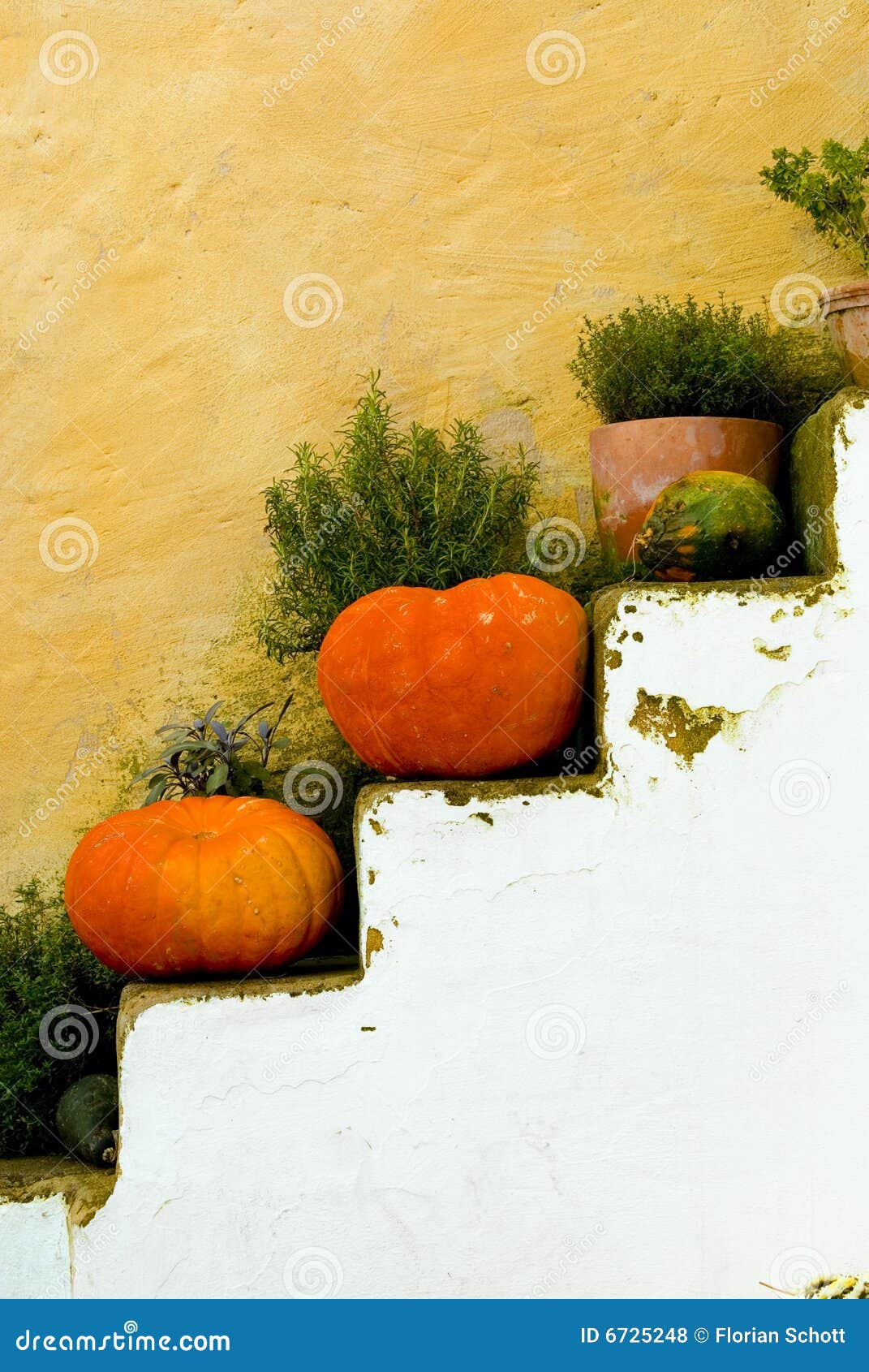 Autumn Stairs stock photo. Image of hite, still, cracked - 6725248