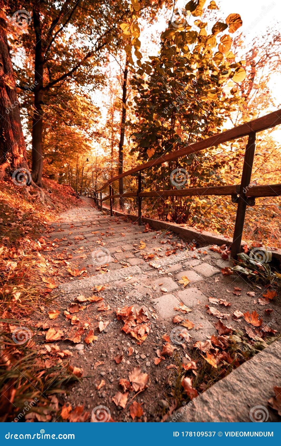 Autumn Steps Downstairs into Distance Stock Image - Image of germany ...