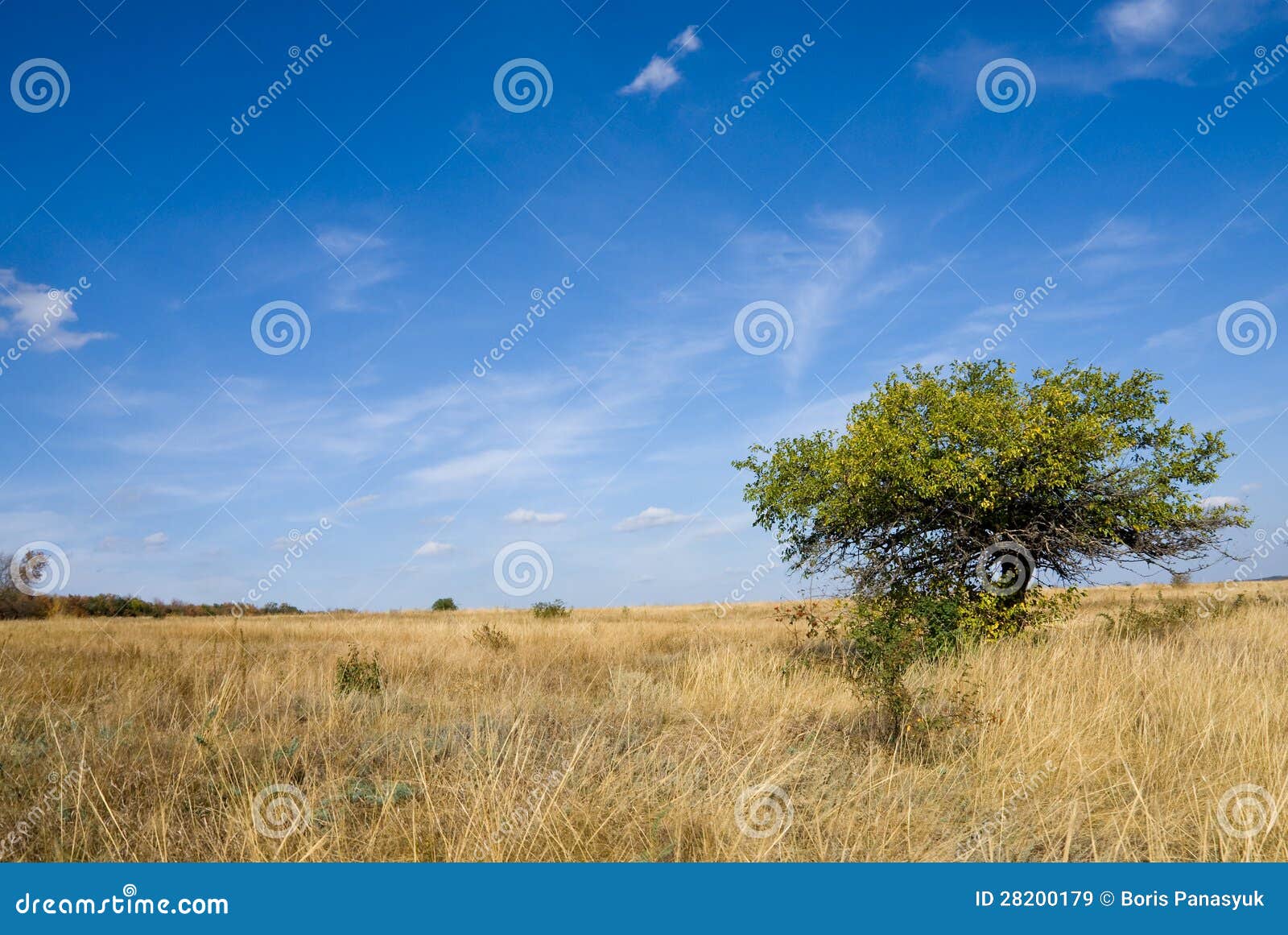 Autumn steppe stock image. Image of horizon, tree, clouds - 28200179