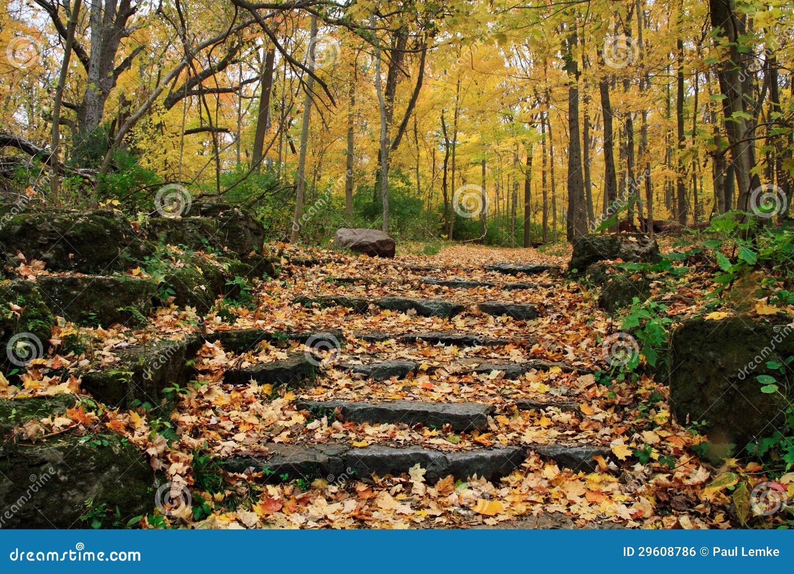 Autumn Steps stock photo. Image of idyllic, colors, park - 29608786