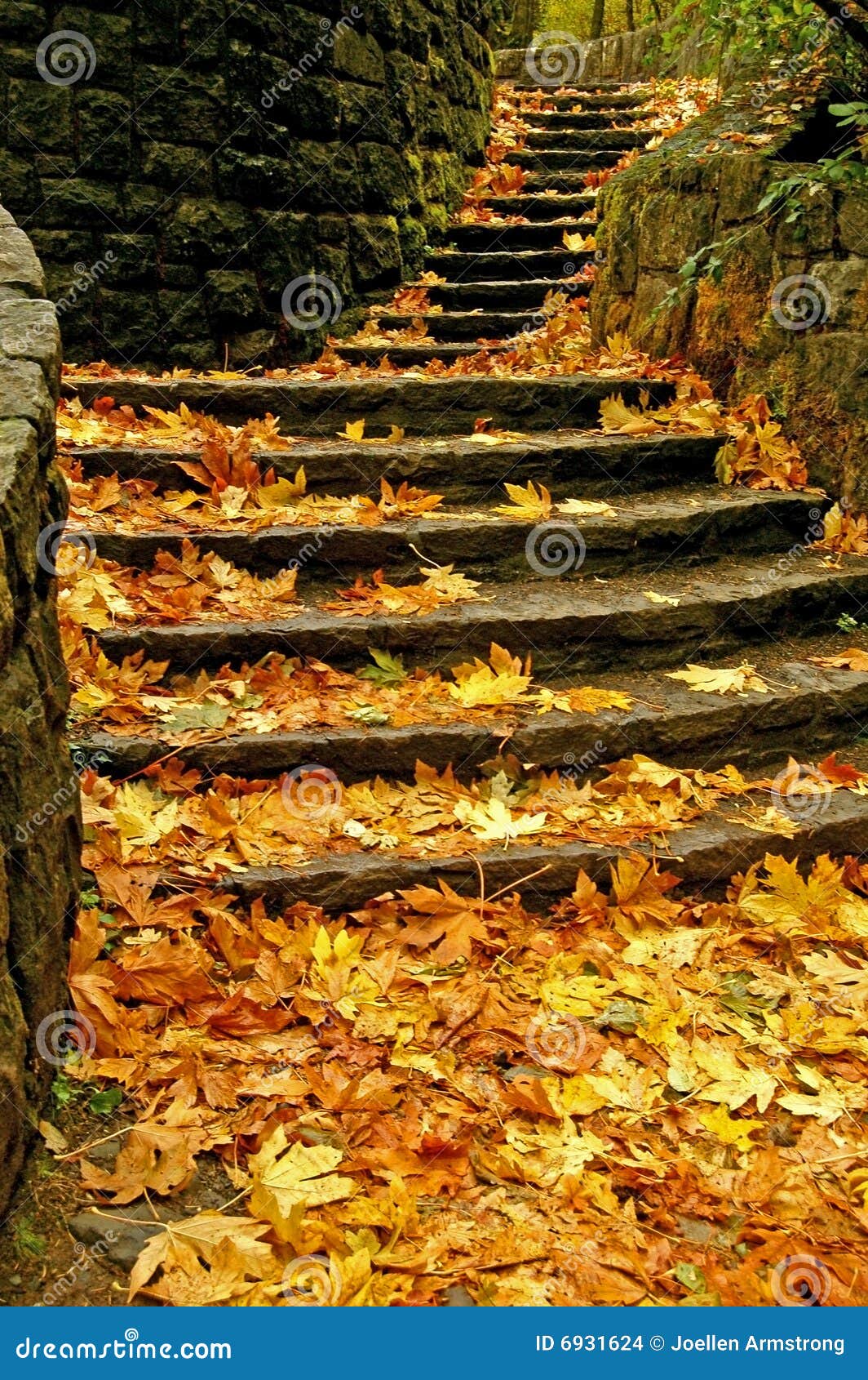 Autumn Steps stock photo. Image of season, orange, stairs - 6931624