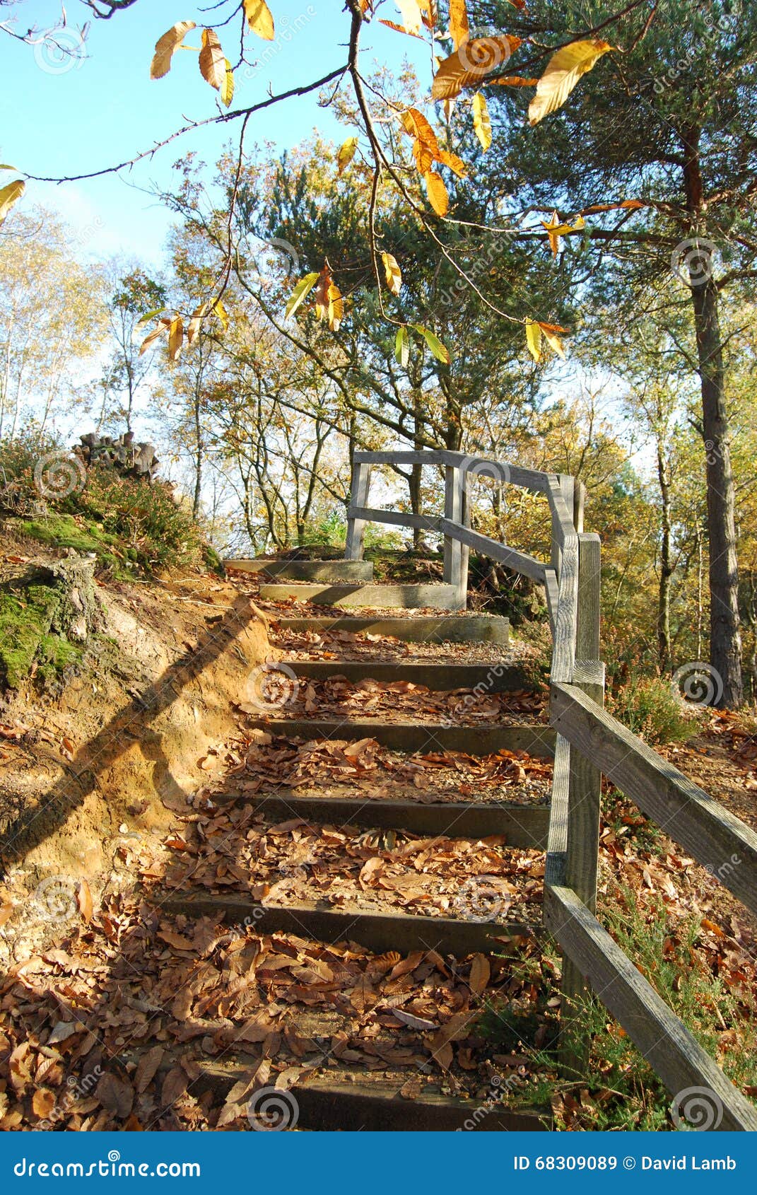 Autumn steps stock image. Image of lonely, background - 68309089
