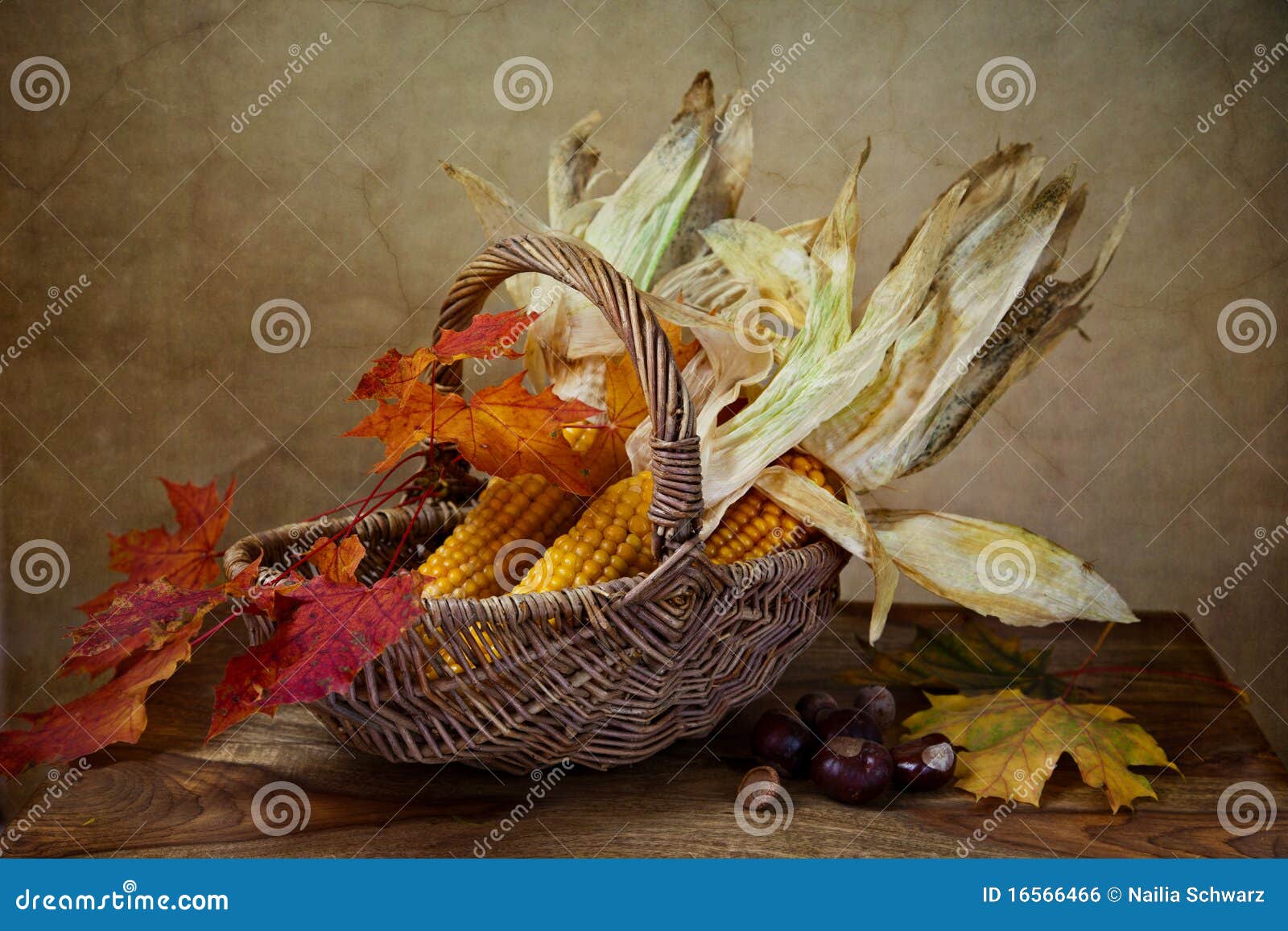 Autumn Still Life stock photo. Image of abundant, harvest - 16566466