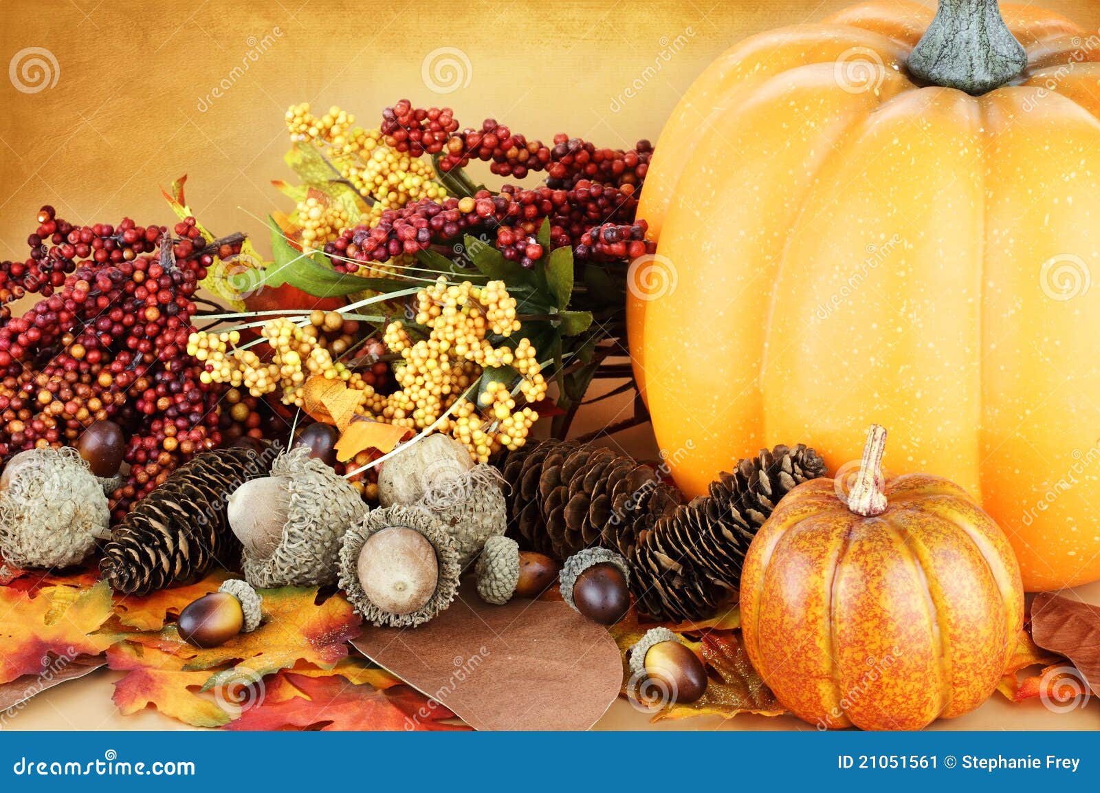 Autumn Still Life stock image. Image of fondos, objects - 21051561