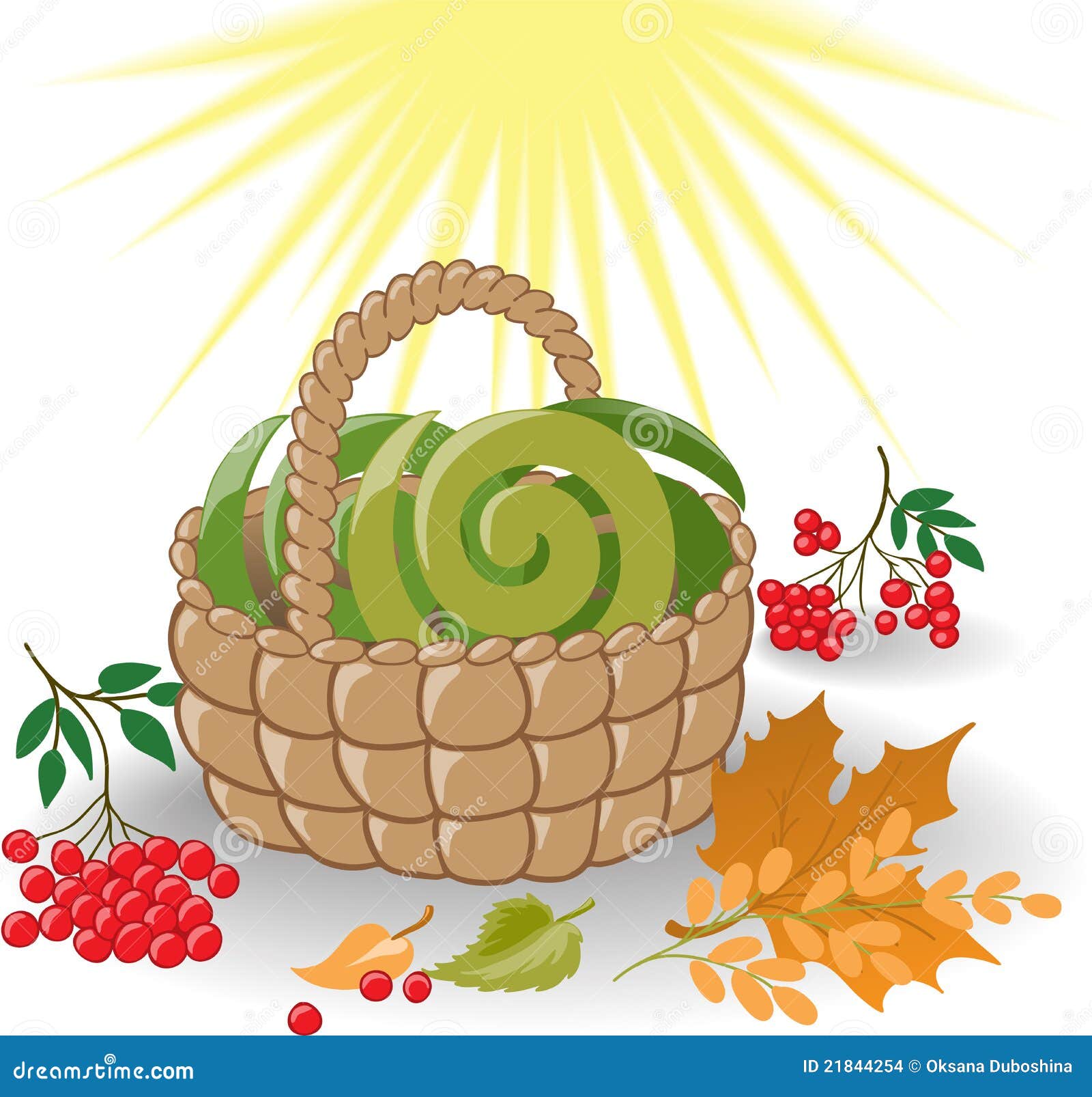 Autumn Still Life With Fruits And Flowers. Coloring Book For Children ...