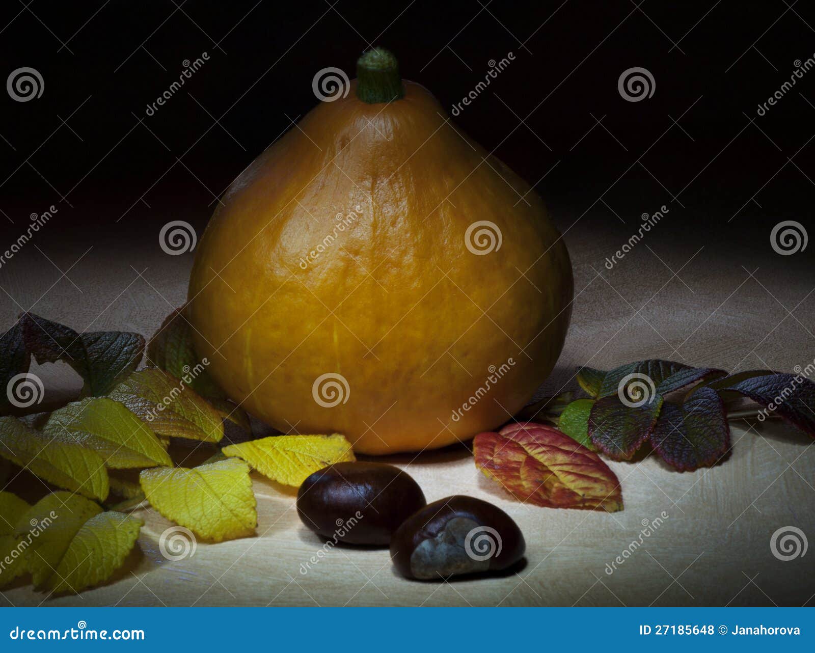 Autumn still life stock photo. Image of painted, september - 27185648