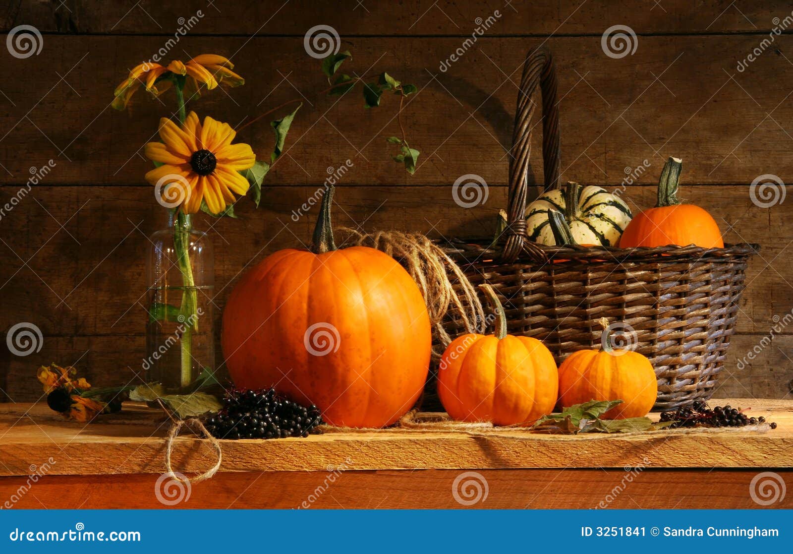 Autumn Still Life Stock Image - Image: 3251841